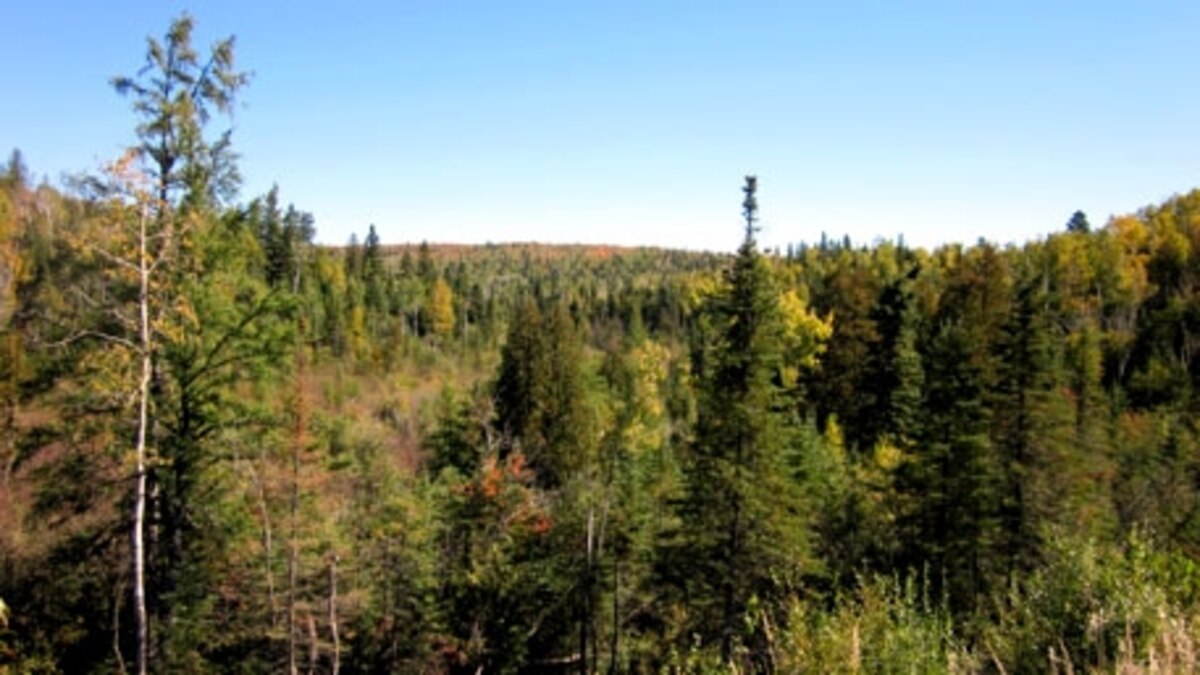 Best Trails: A Toast to Three Upper Midwestern Hikes | National Geographic