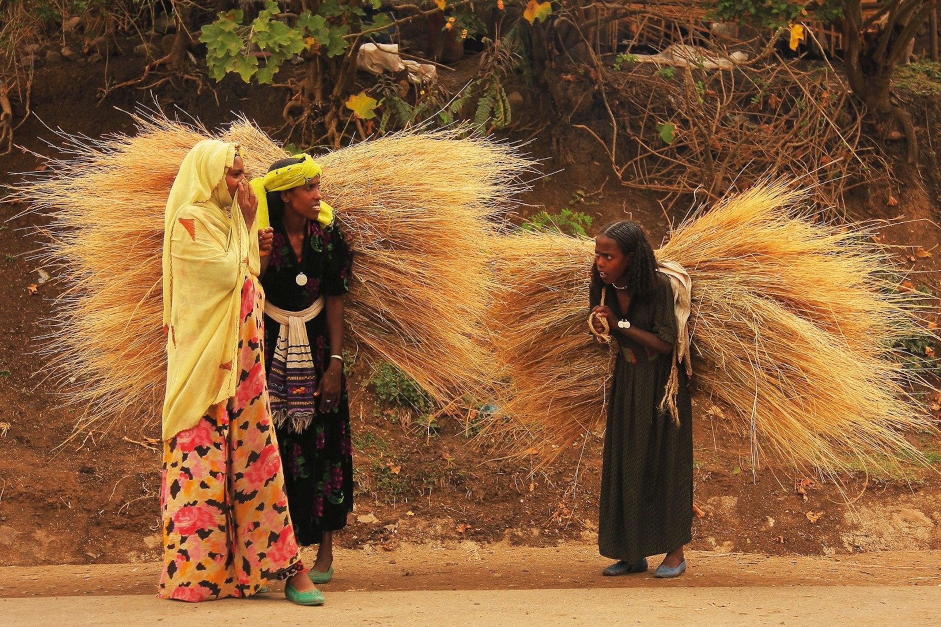 Imagine A World Without Electricity In A World Without Electricity