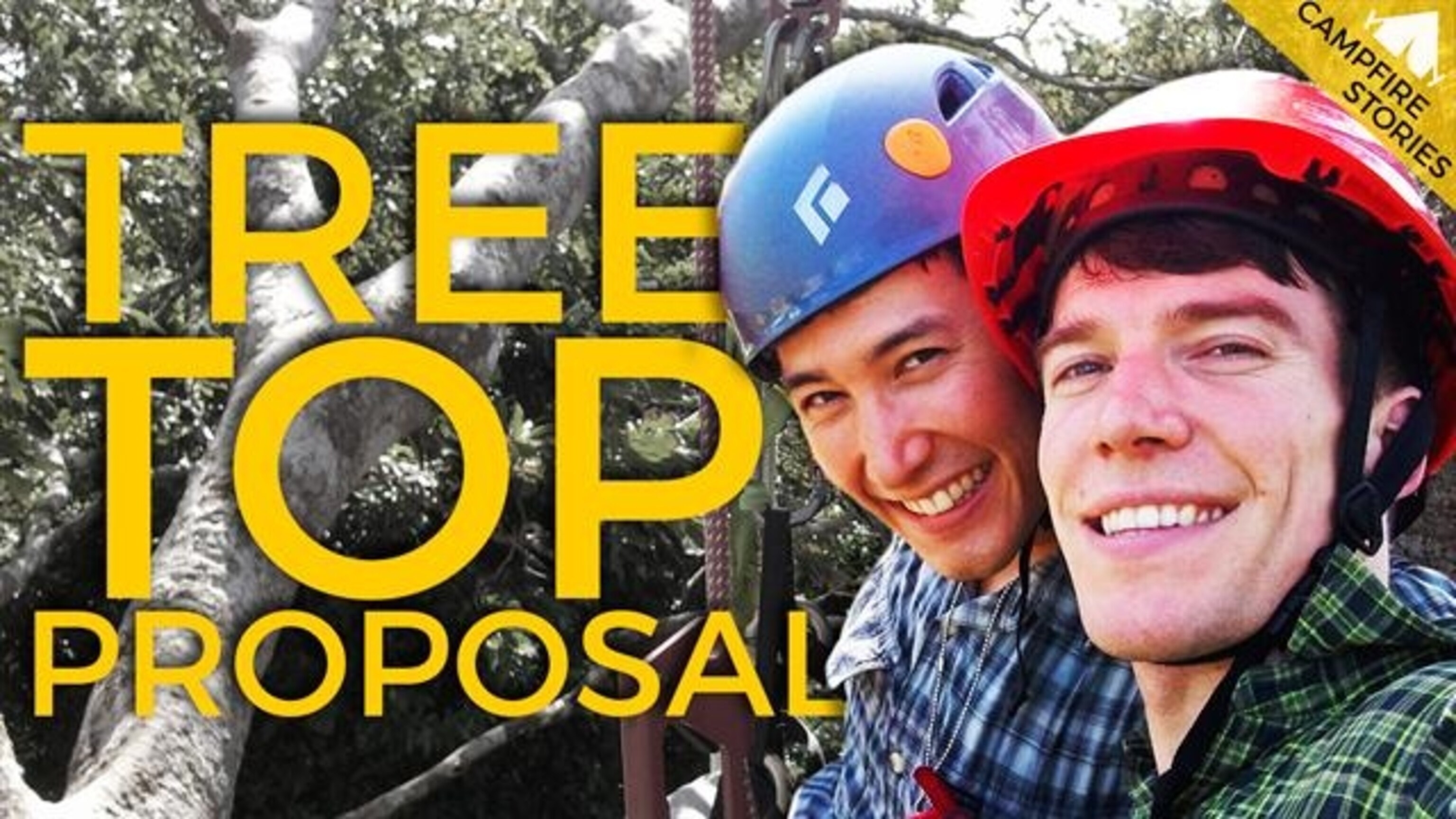 Tree Top's Instagram, Twitter & Facebook on IDCrawl