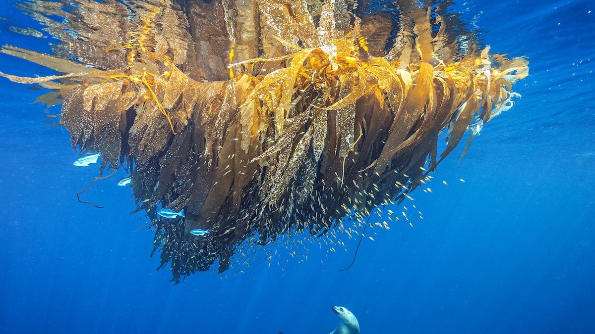 Photos: 50 stunning photos of Earth | National Geographic