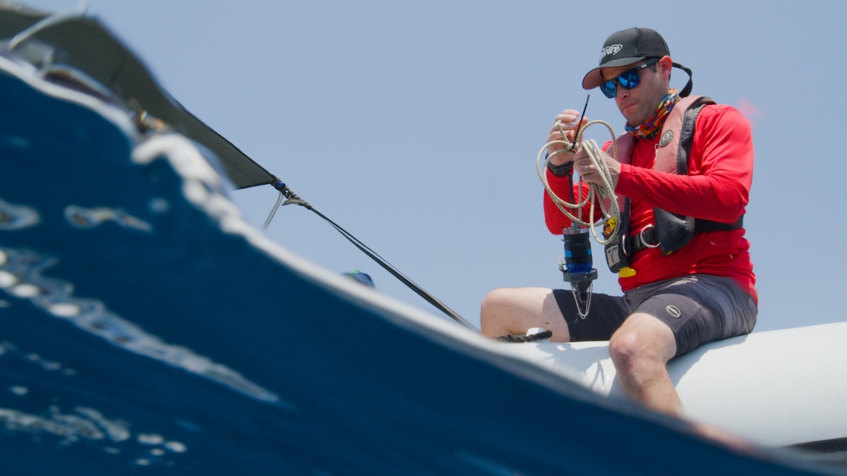 Shane Gero: Understanding the societies of animals | National Geographic