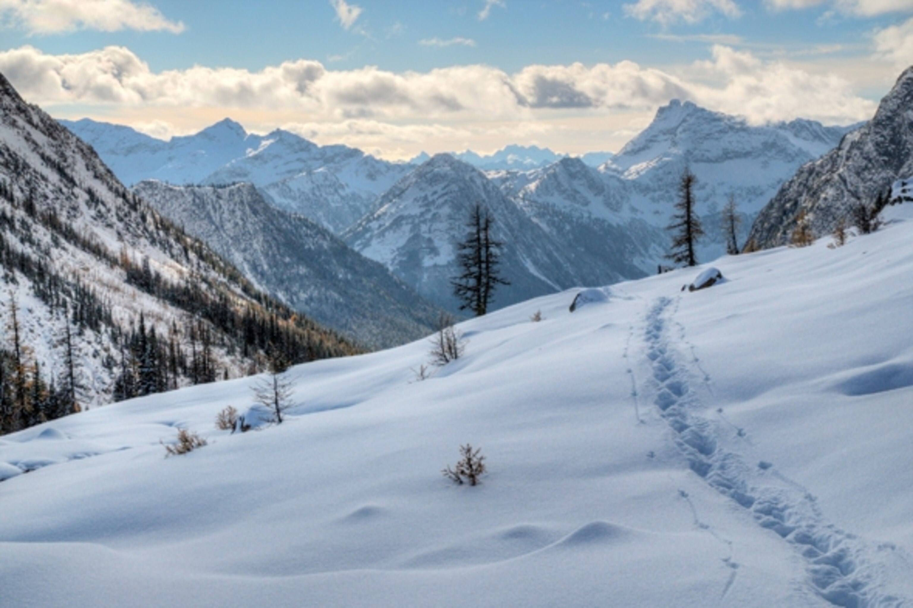 On the Trail in America