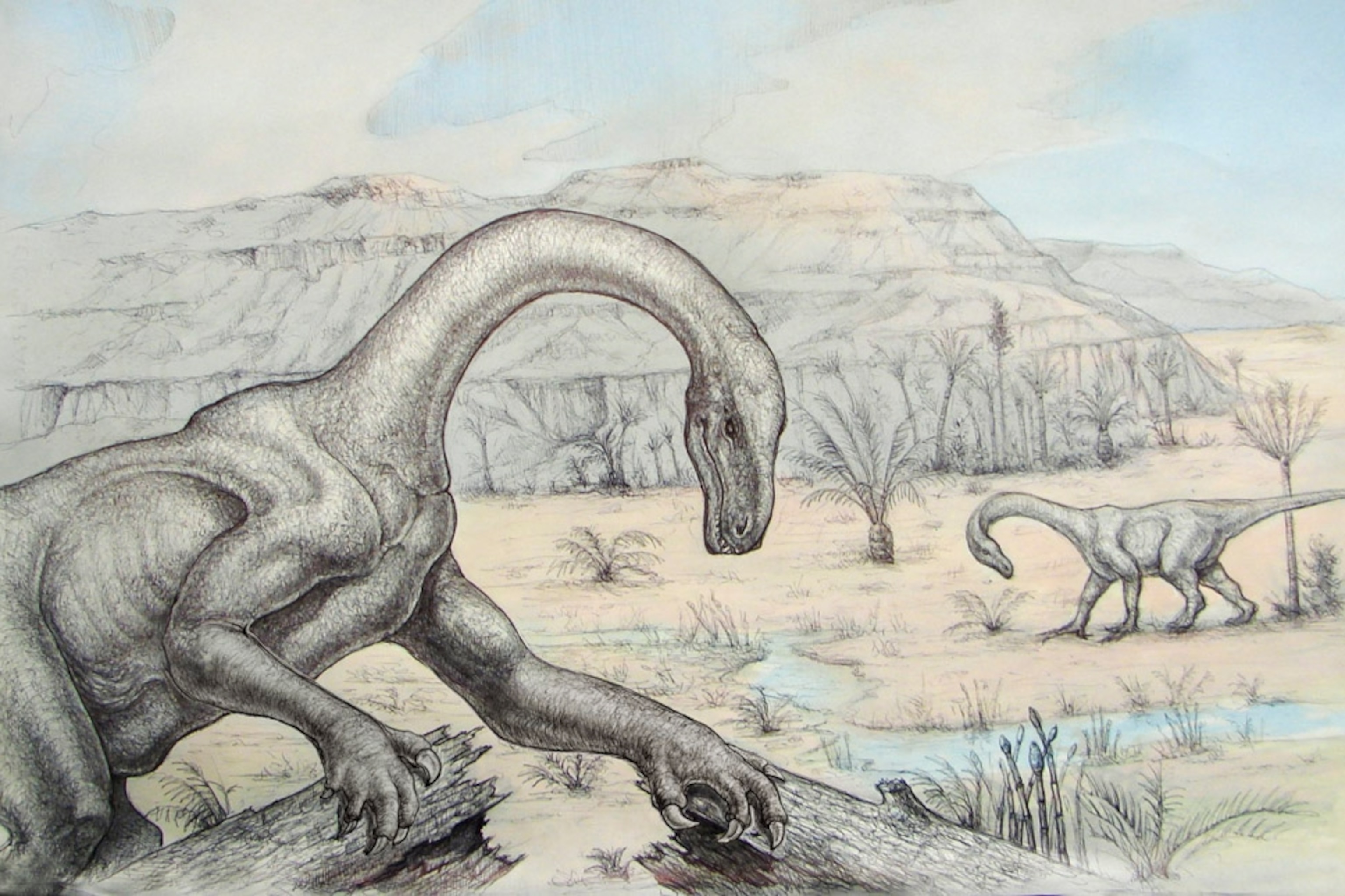New Strong-Handed Dinosaur May Shatter Assumptions