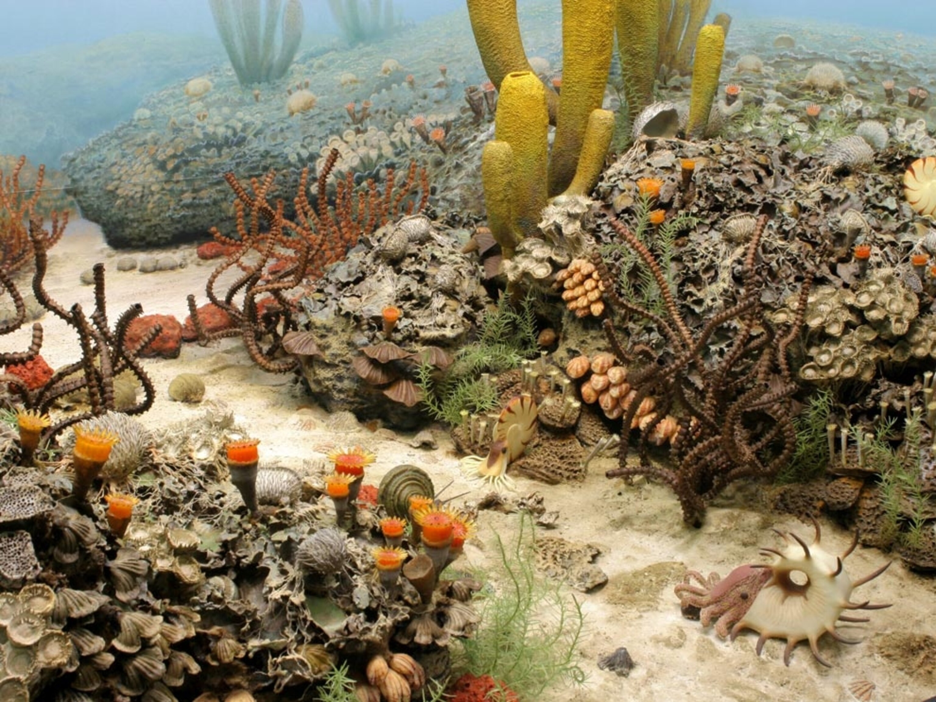 Permian Period Pictures, Prehistoric Photos -- National Geographic