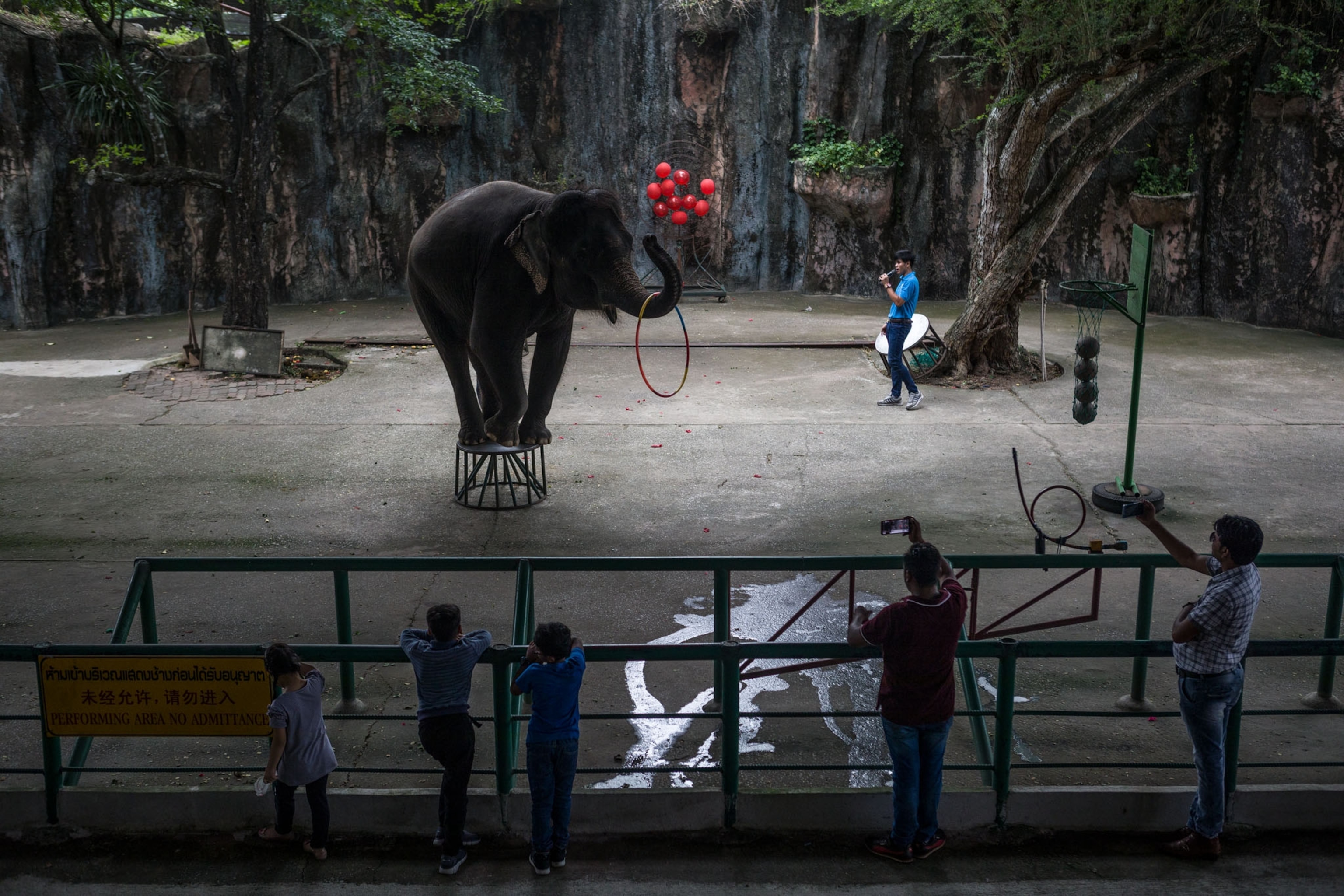 Suffering unseen: The dark truth behind wildlife tourism