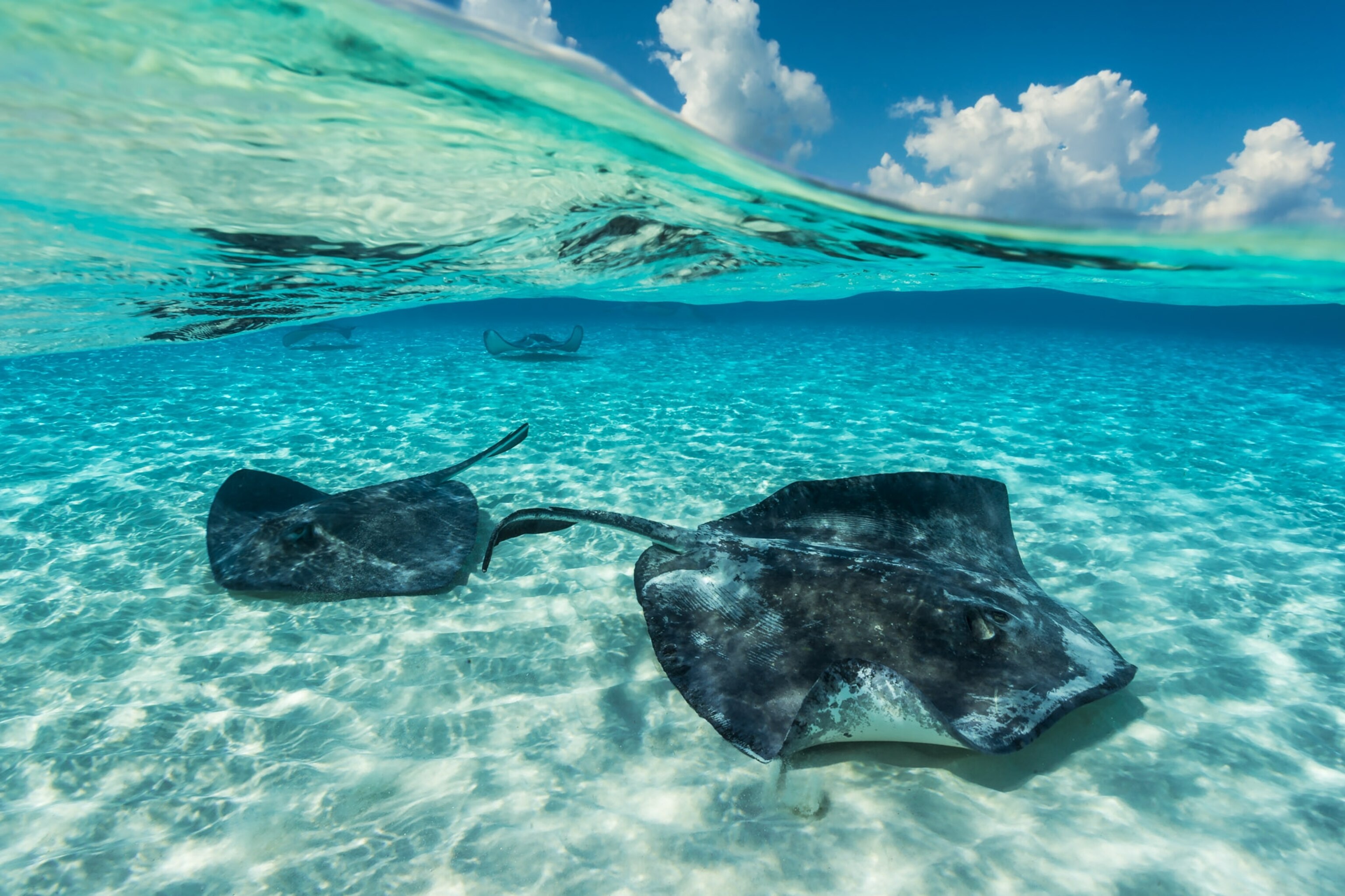 How to take photos underwater