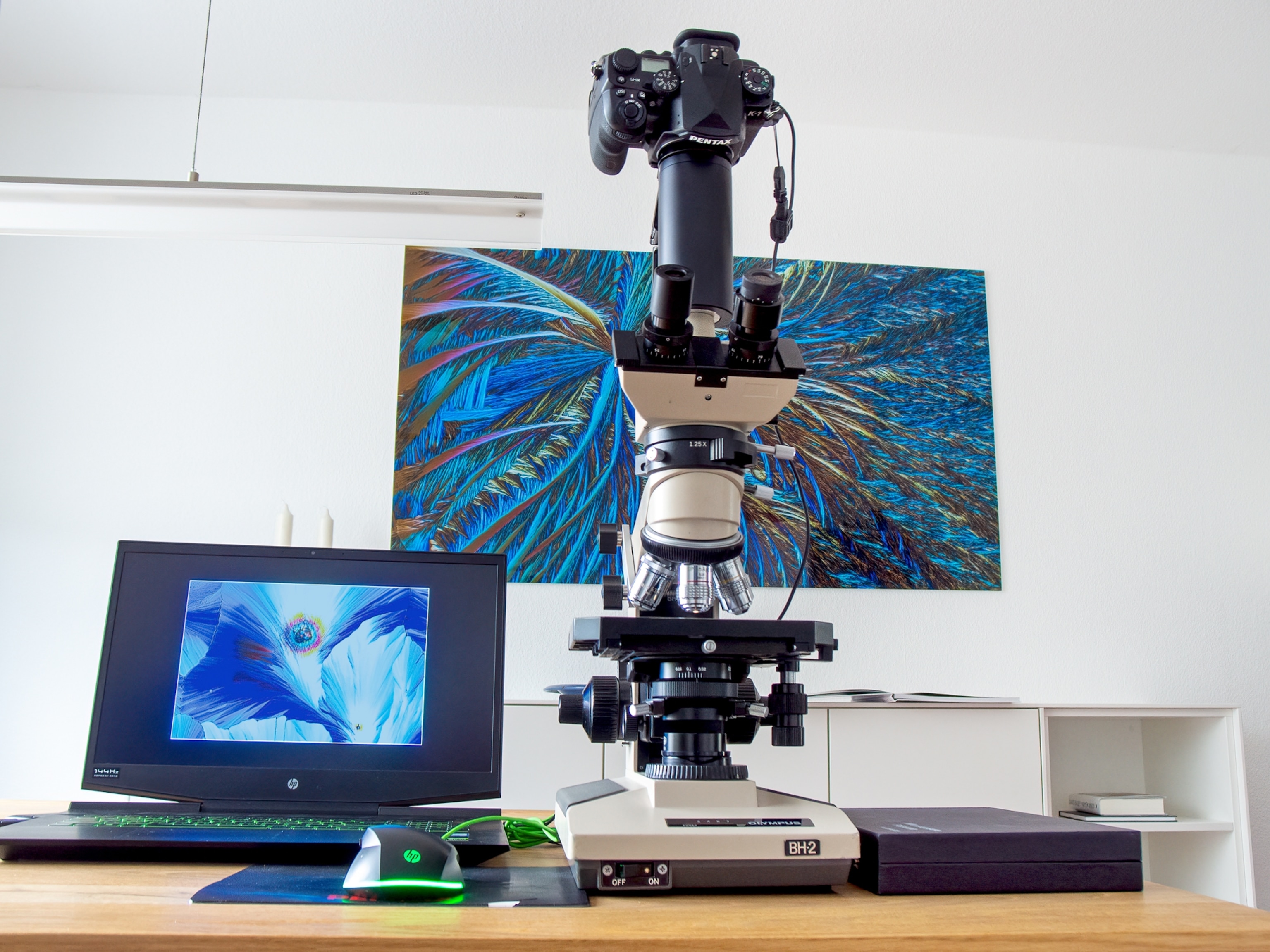 See the extraordinary splendor of ordinary chemicals