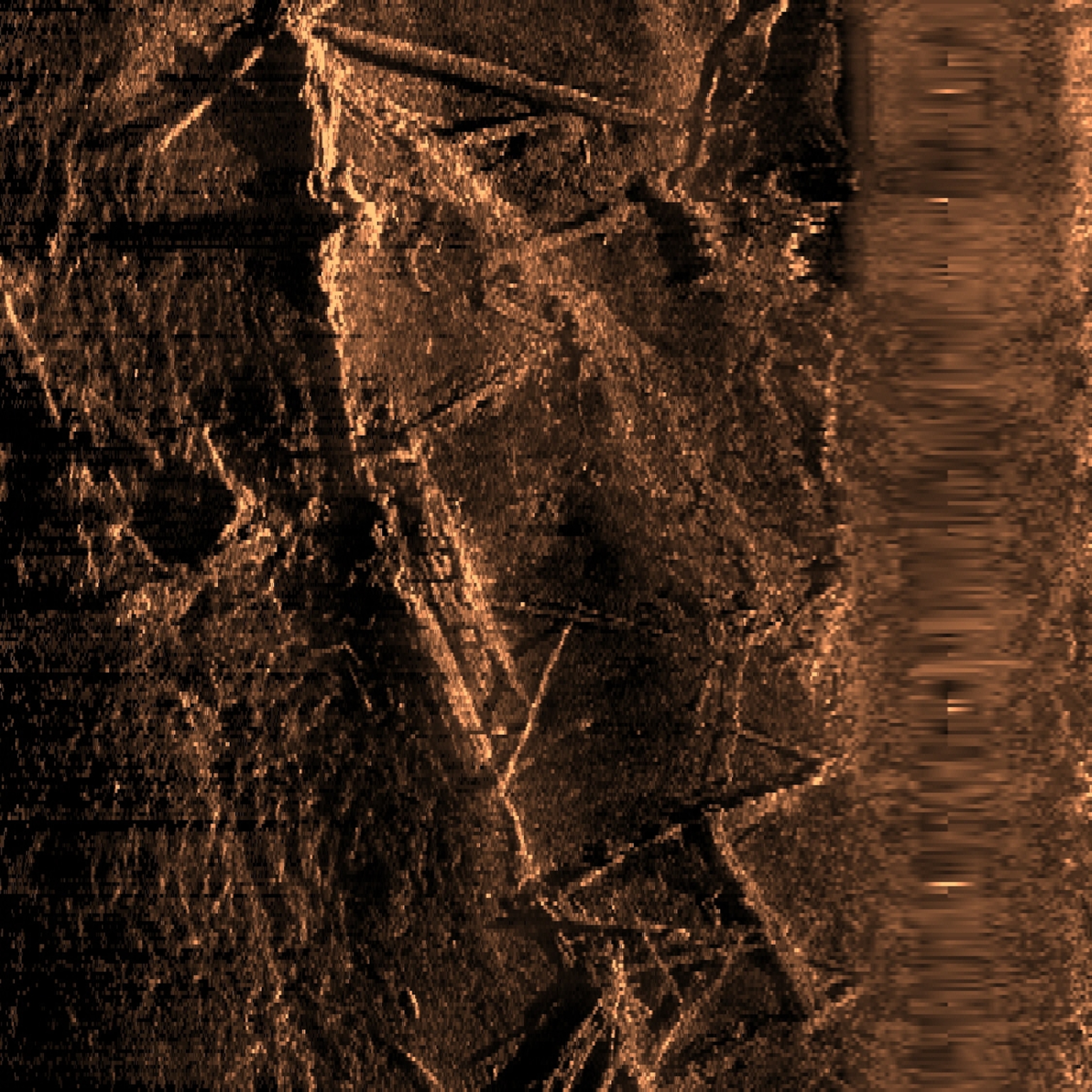America’s last slave ship is more intact than anyone thought