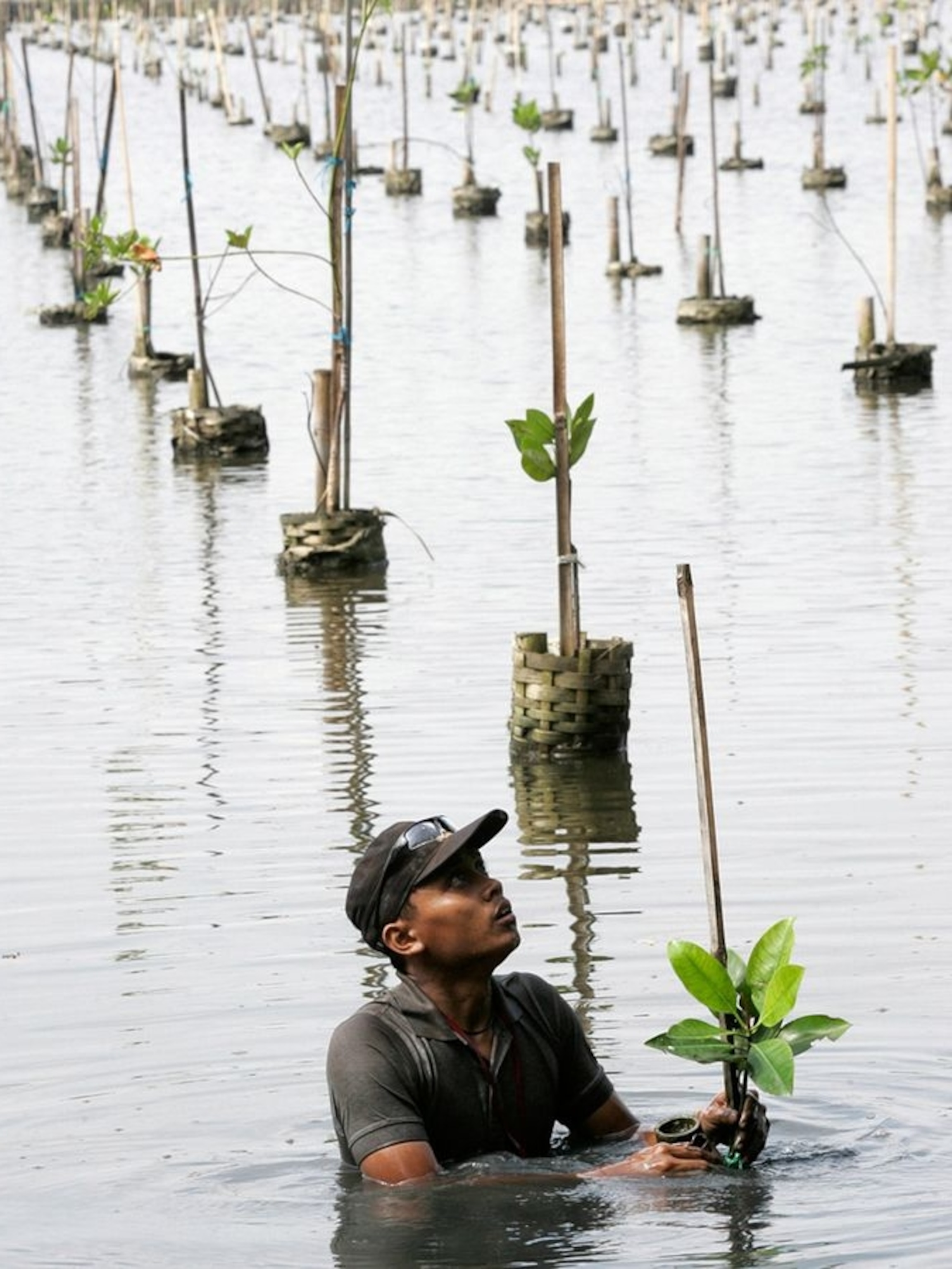 Earth Day at 40: How It Began, Where It's Going