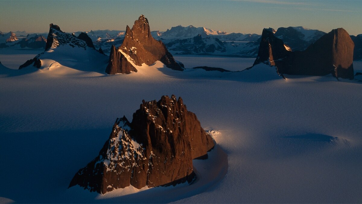 Champions of the Cold: My New Story on Life That Thrives At Low ...