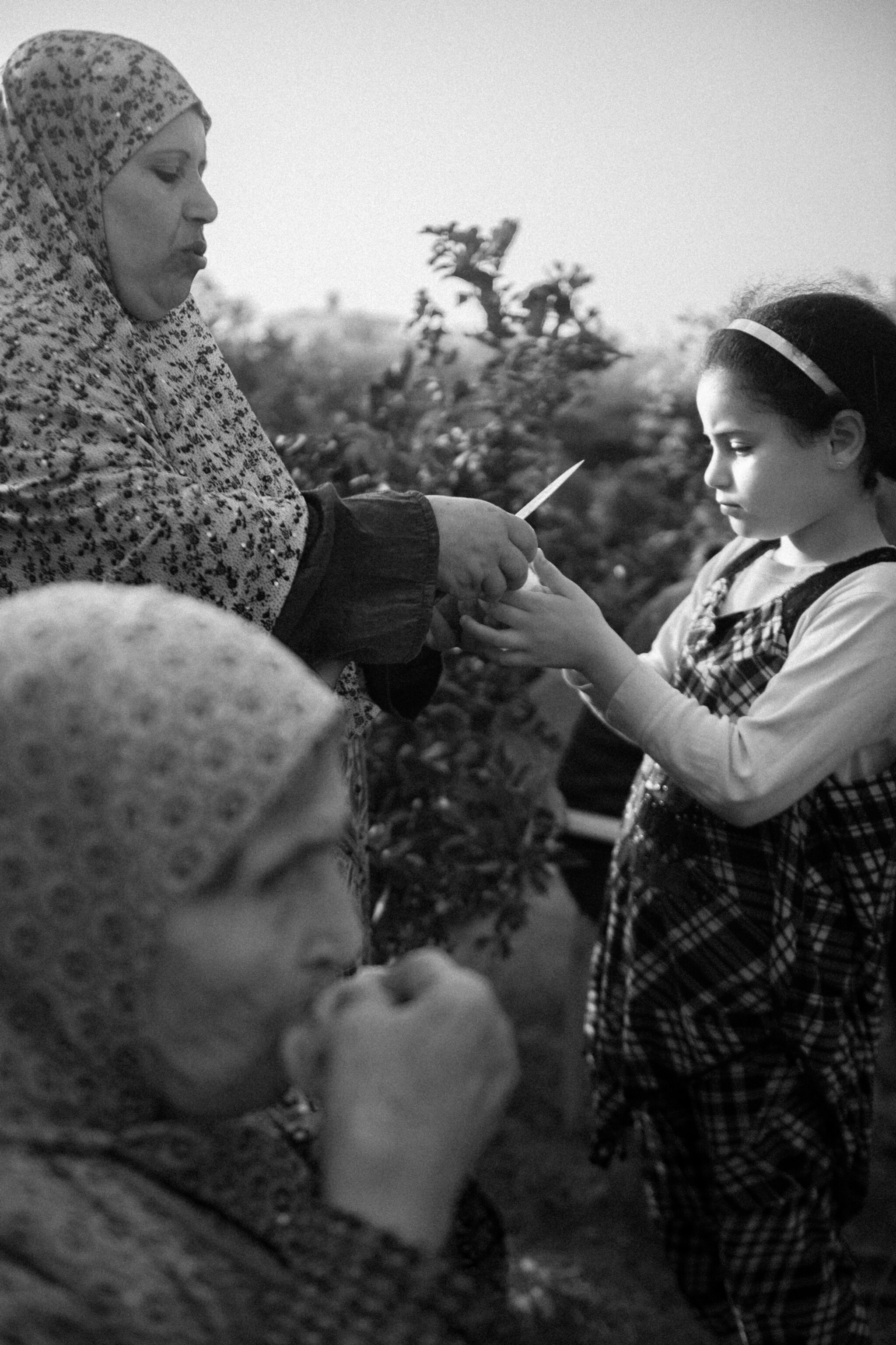 Conversation: Christopher Morris and Jošt Franko