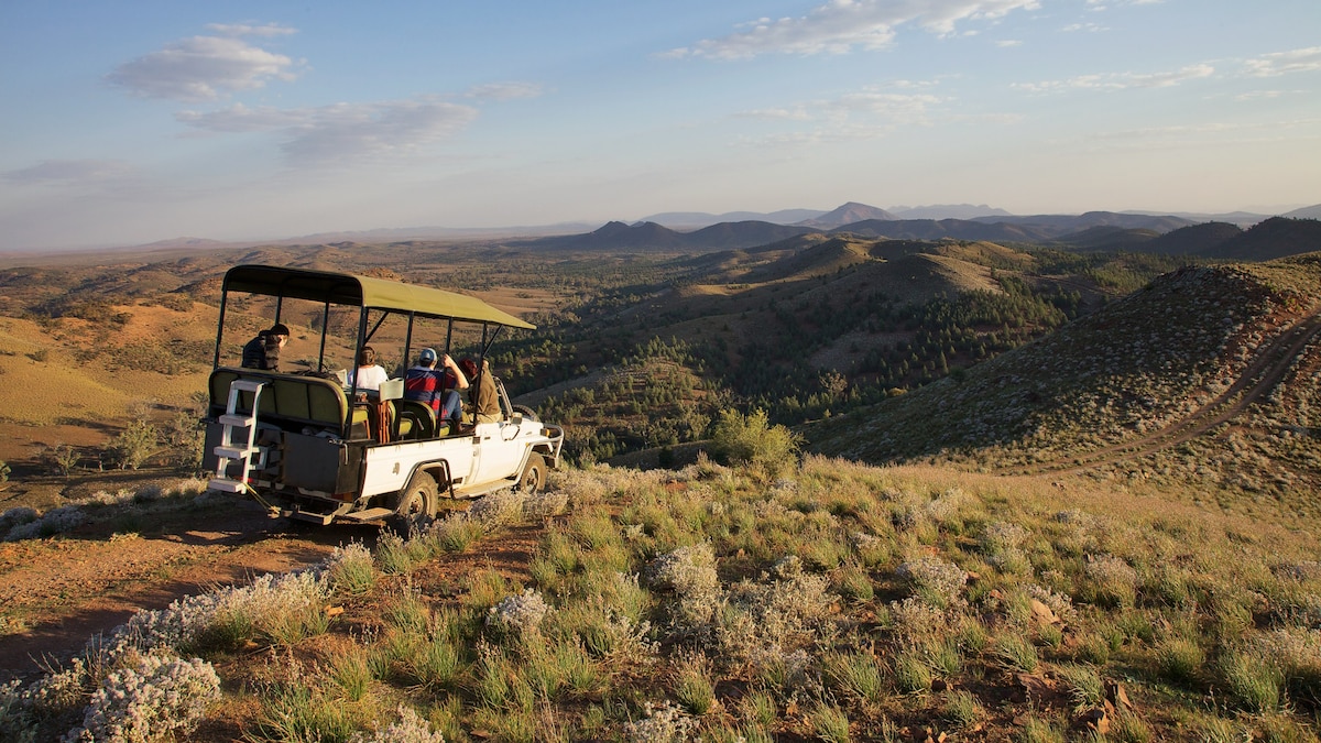 Ocean to Outback: discover Australia with a wildlife safari | National ...