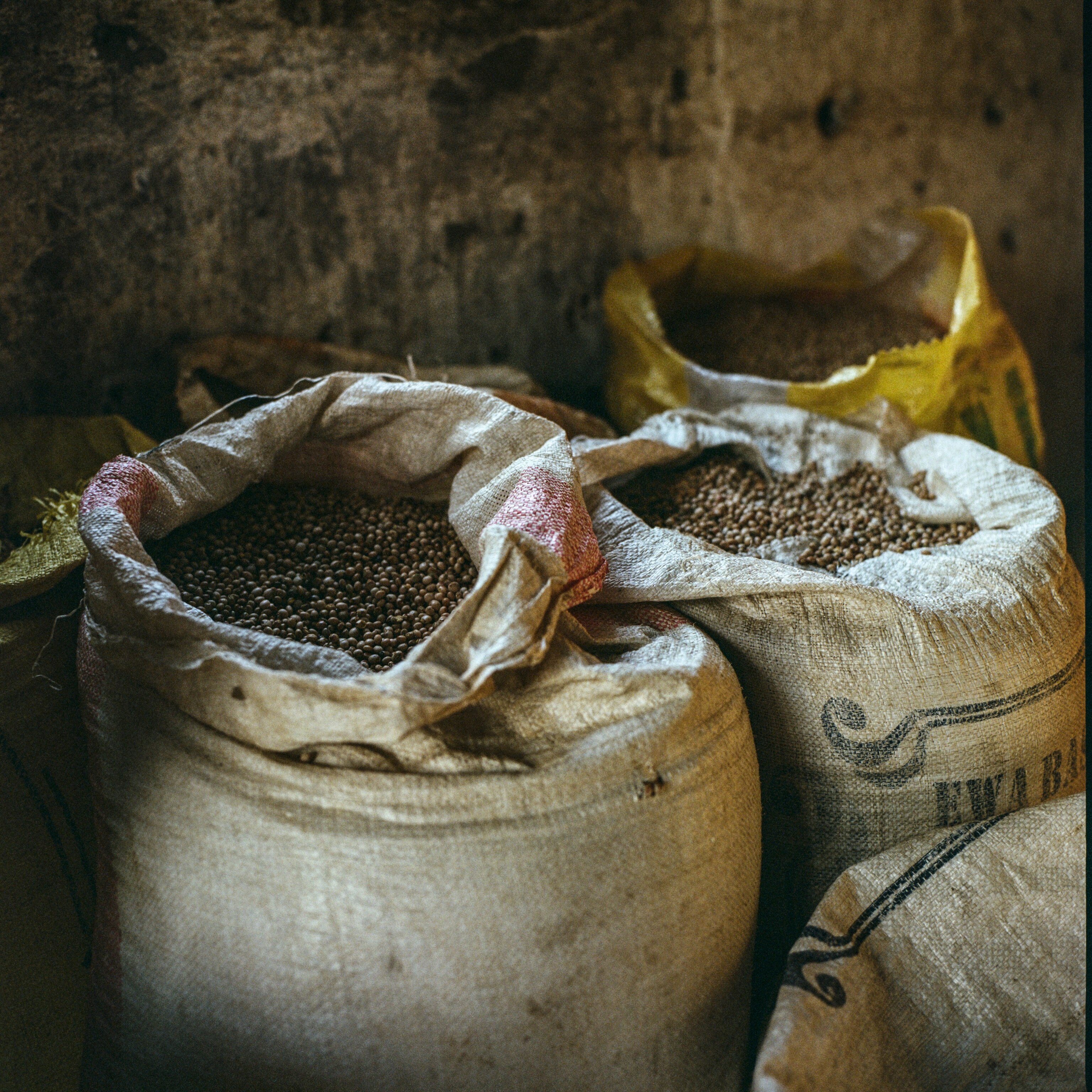 Miora Rajaonary documents climate resilience in drought-stricken Madagascar