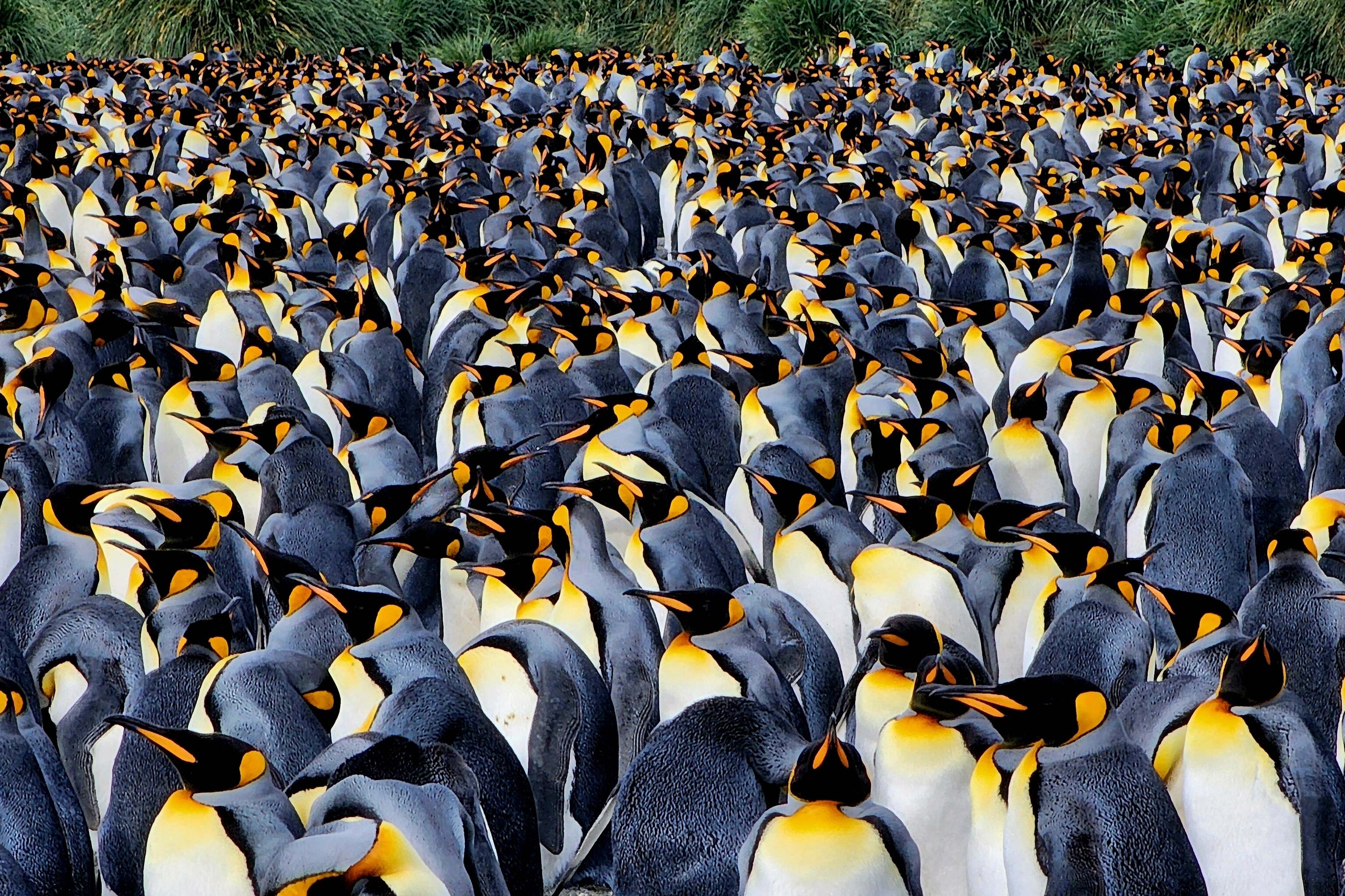 This striking image won our ‘Pictures of the Year’ photo contest