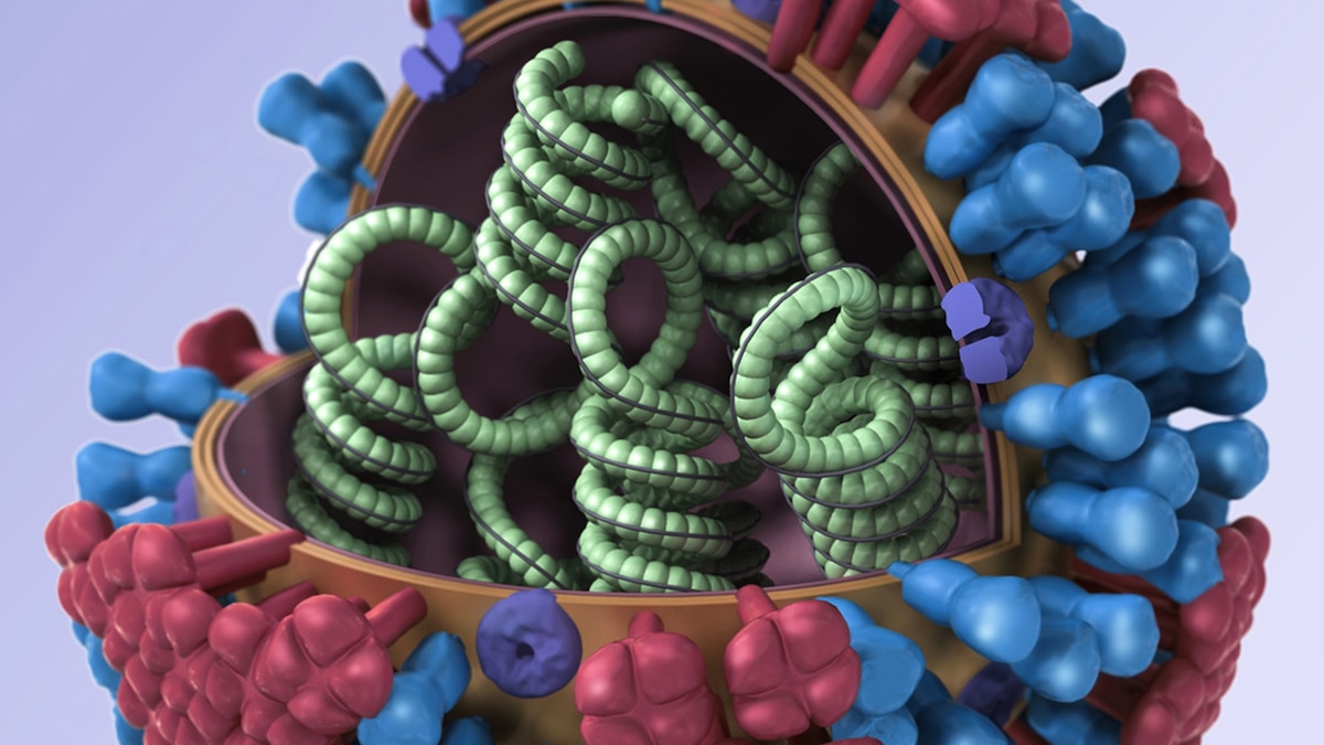 Google and Twitter Help Track Influenza Outbreaks | National Geographic