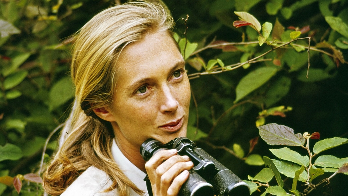 These ‘Difficult’ Women Wrote, and Lived By, Their Own Rules | National ...