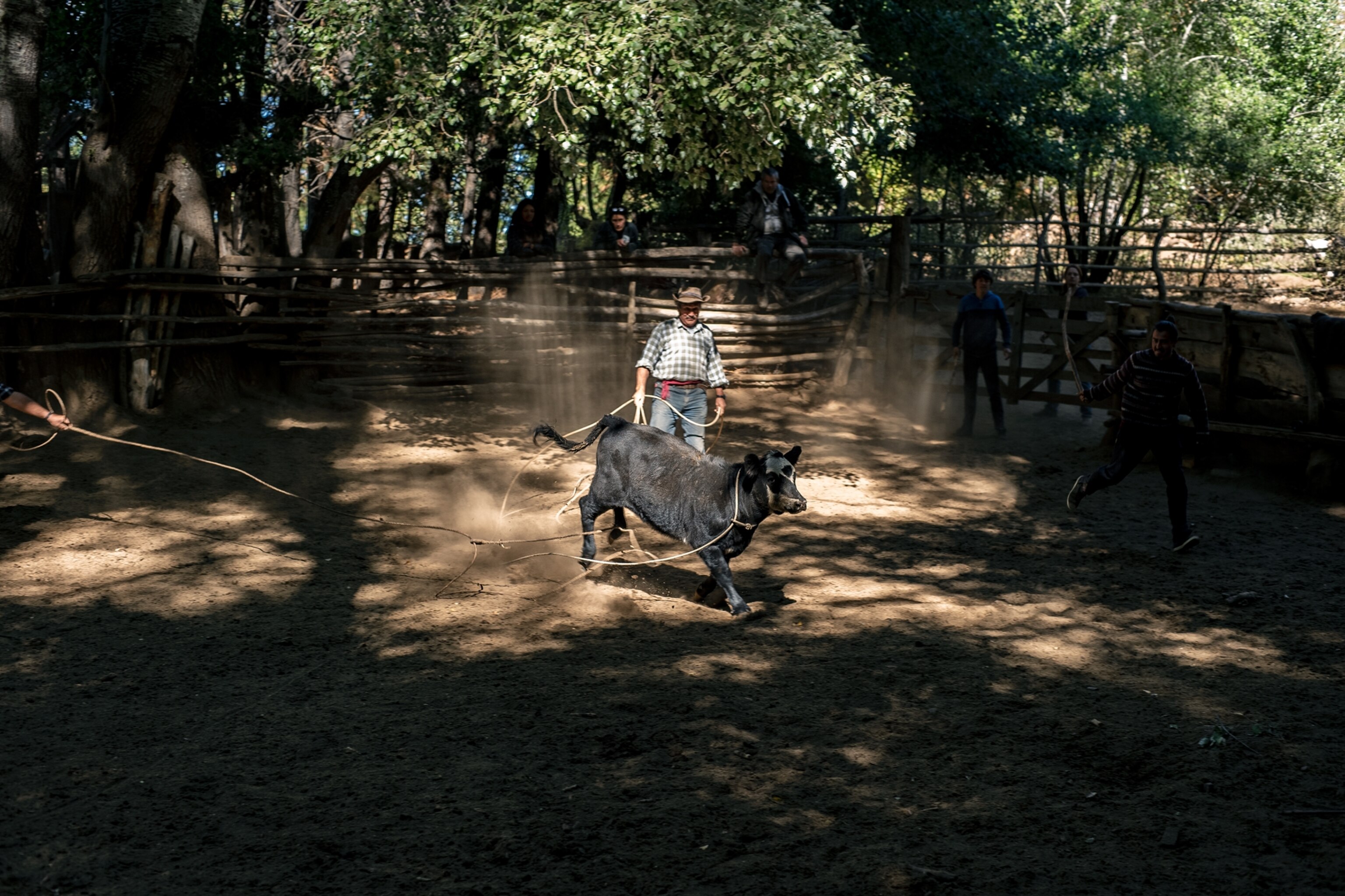 Go off the grid at horse ranches in Patagonia