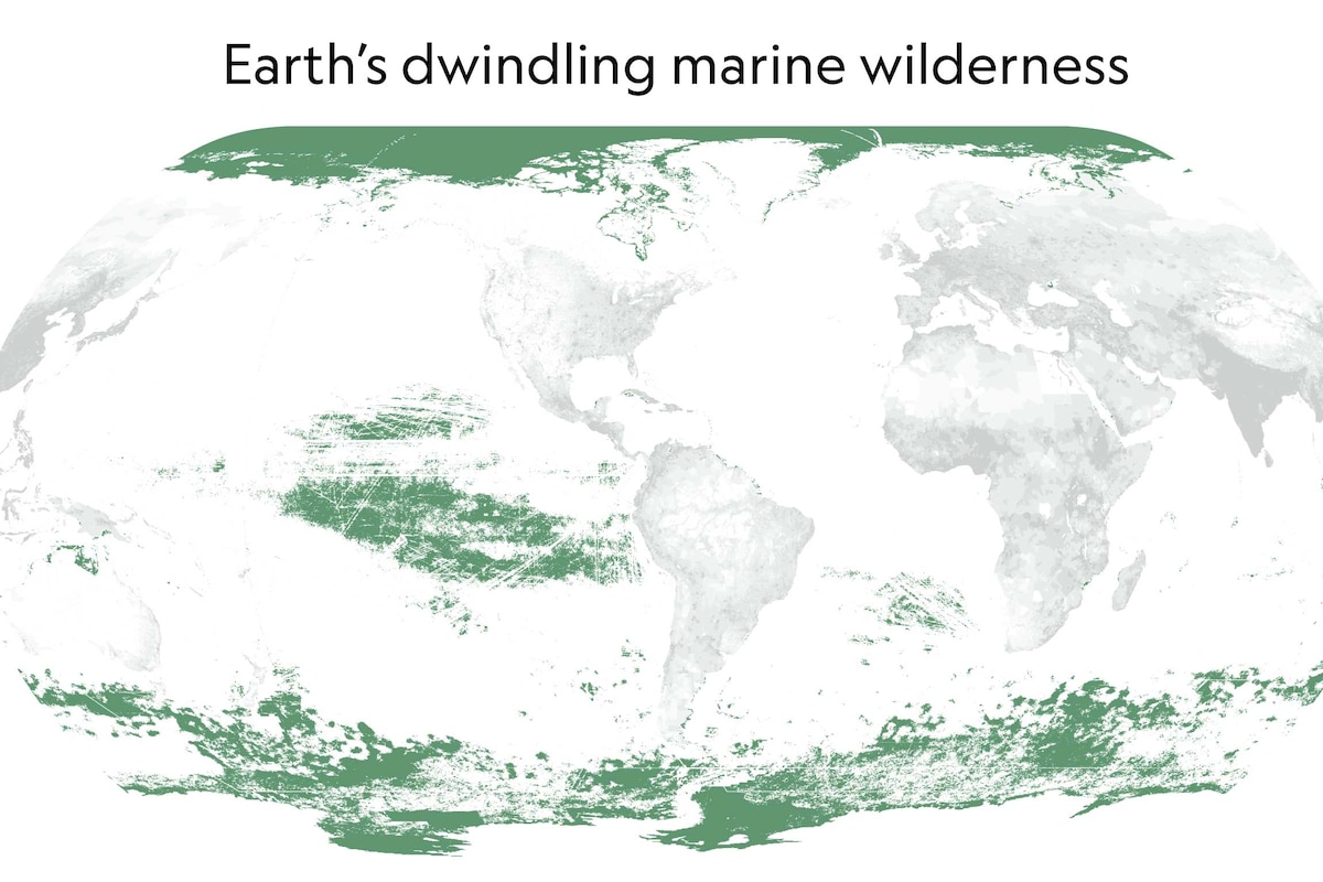 Only One-Eighth of the Ocean Is Free of Human Impact | National Geographic