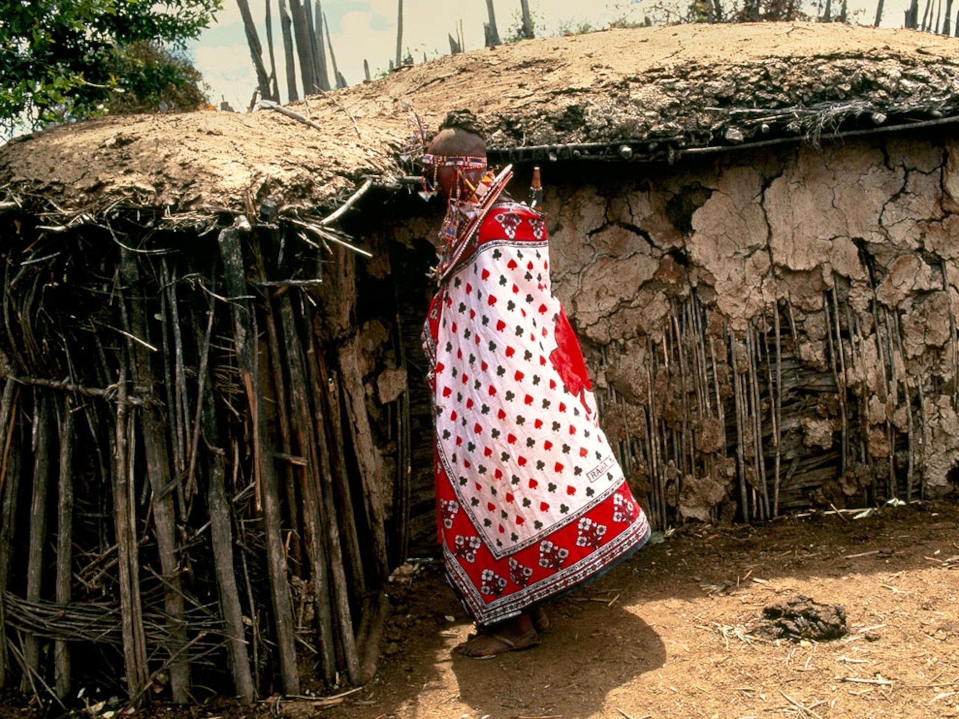 African Marriage Ritual Photos -- National Geographic