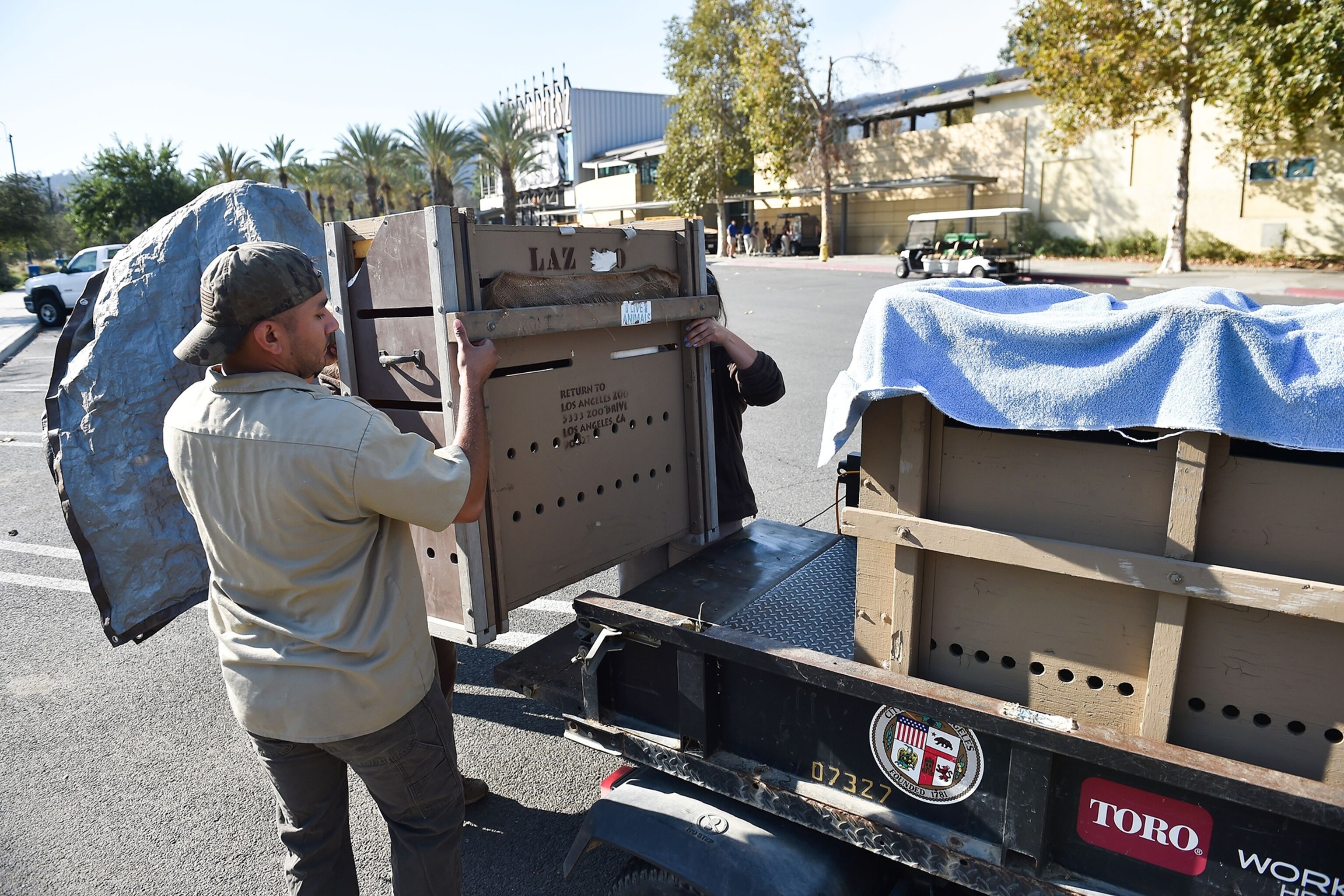 How zoos protect—and evacuate—animals during wildfires