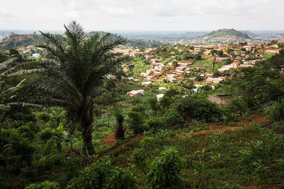 Cameroon Travel Guide