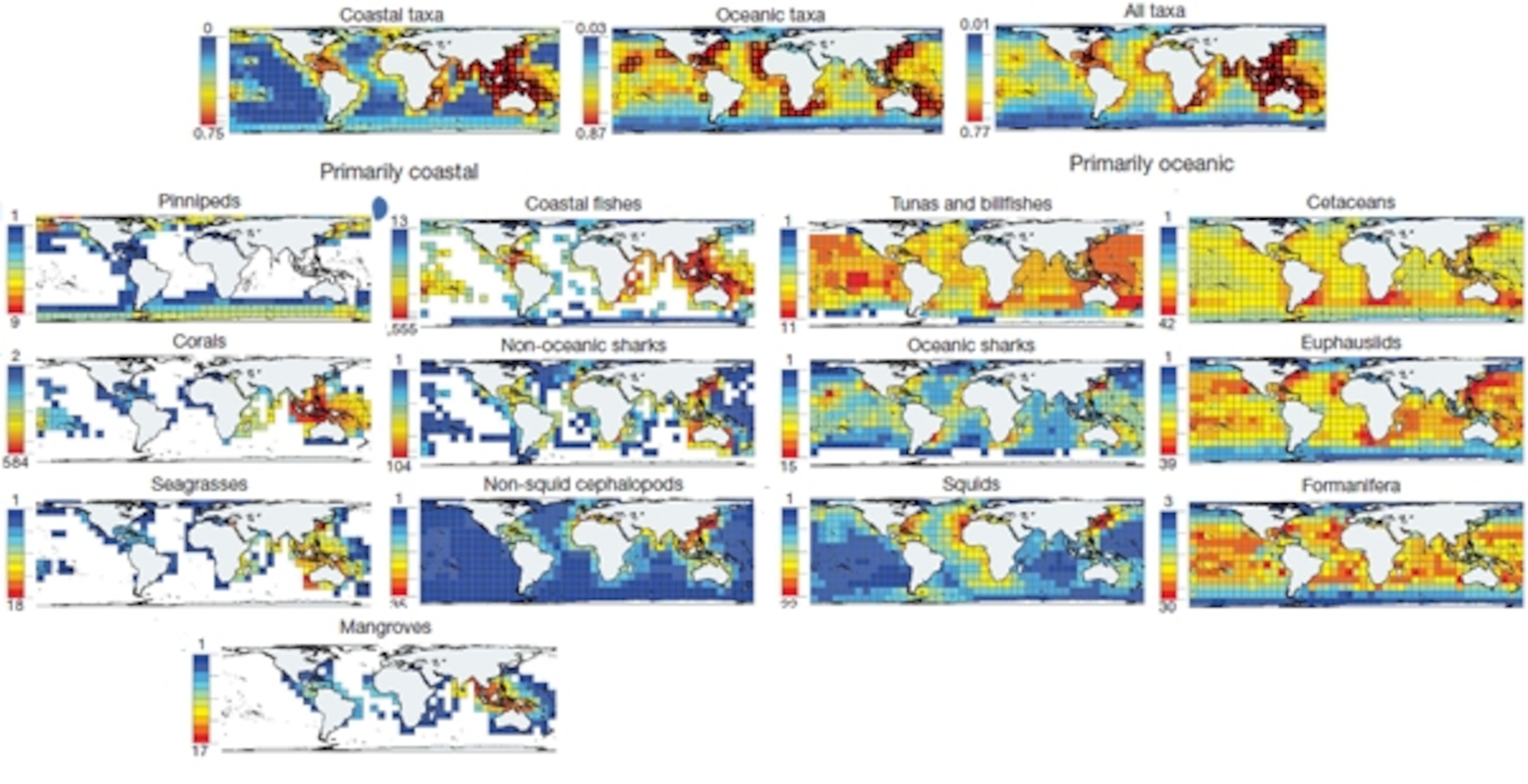 A warmer ocean is a less green one | National Geographic