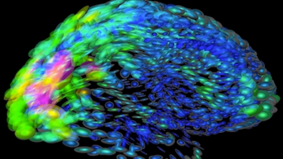 What Is It Like To Be A Bat? What Is It Like To Be You?