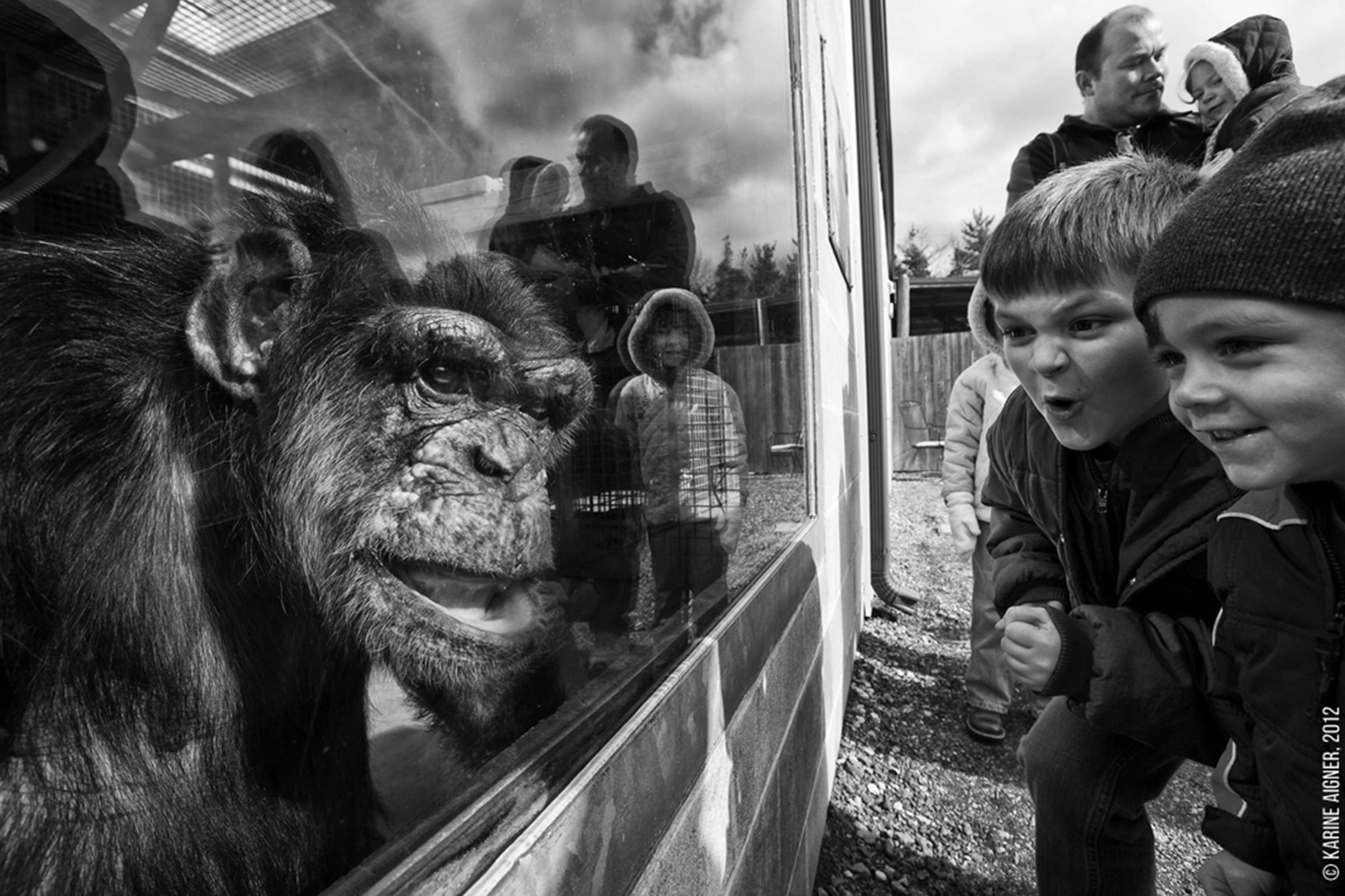 Stunning Images Show the Impact of Man on Nature