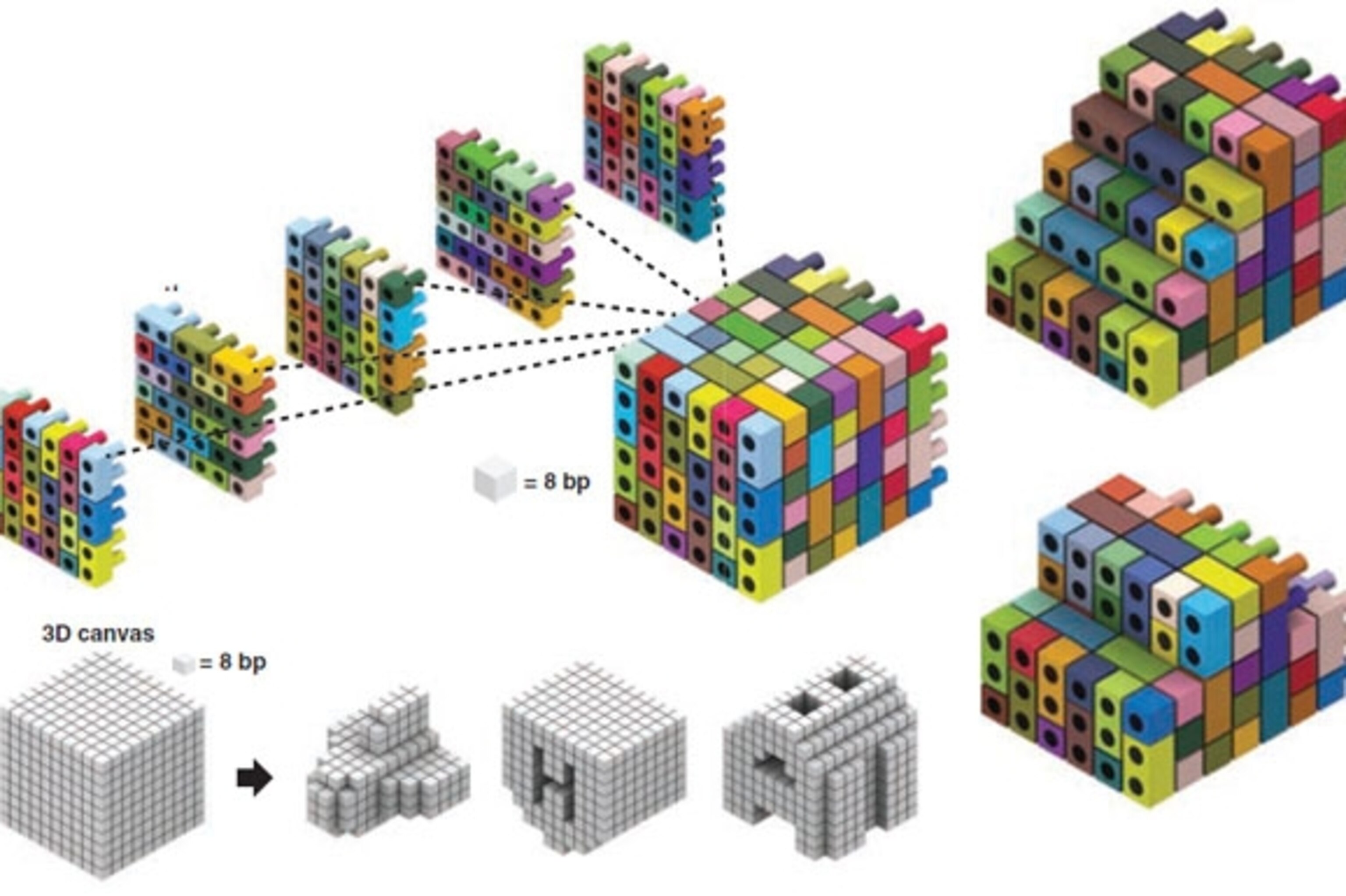 DNA Lego Bricks Produce Nano-Sculptures