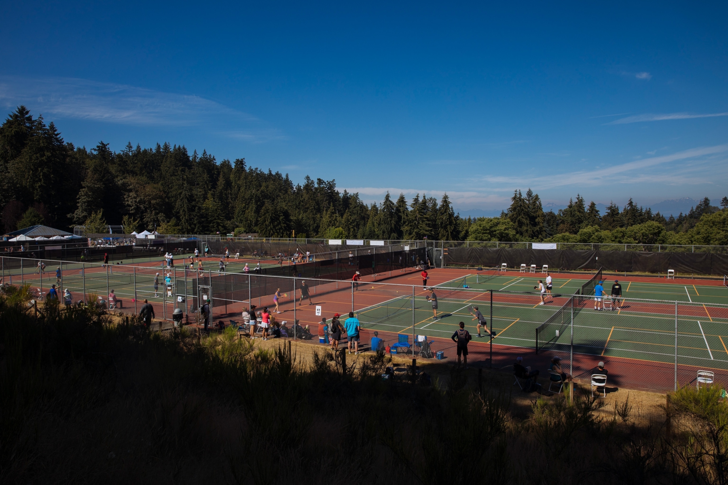 How pickleball became America’s fastest growing sport