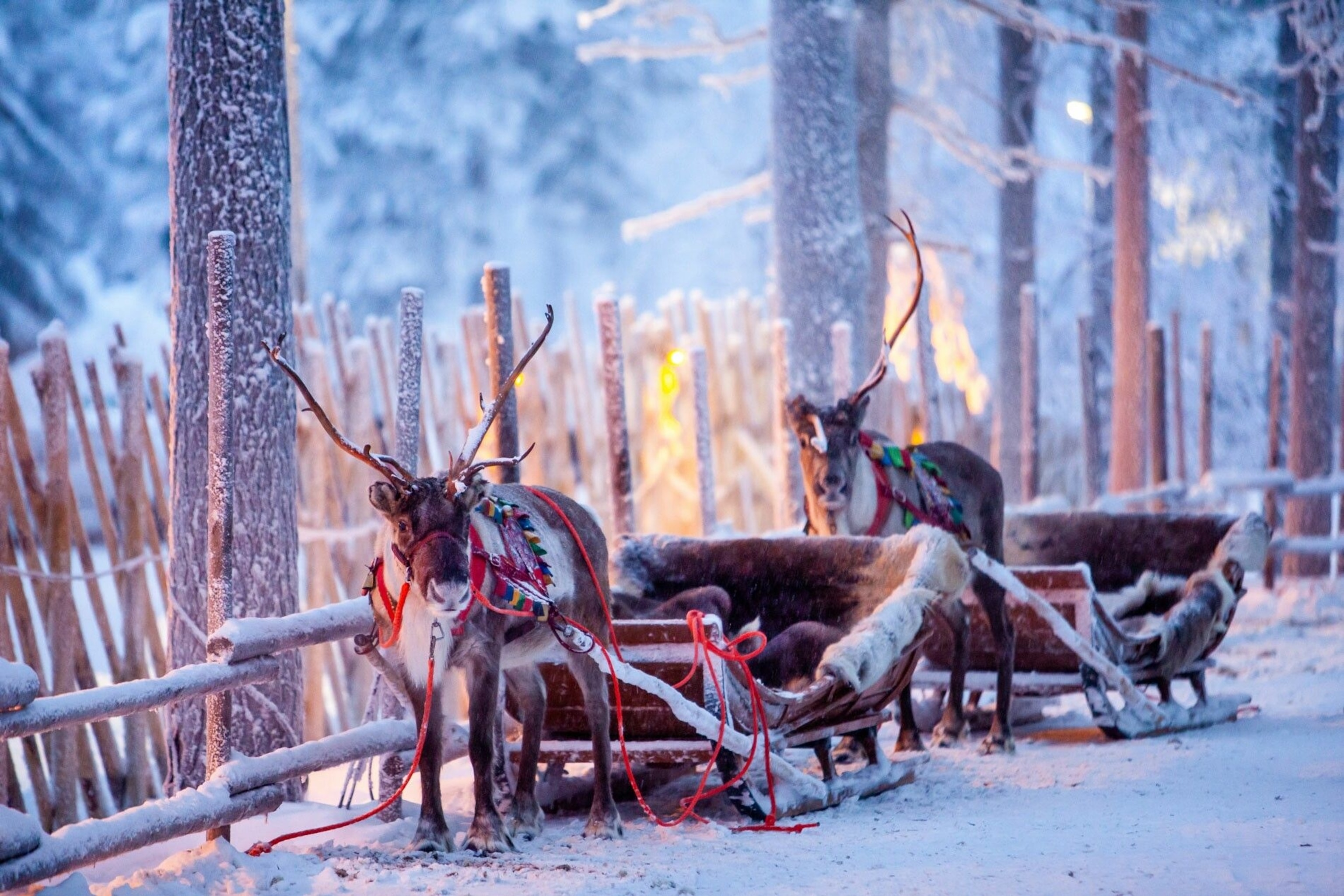 Finnish Lapland: discover two of the best ski resorts for families this ...