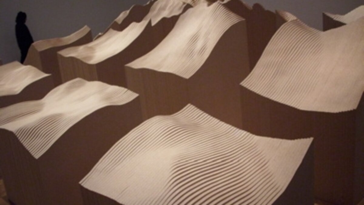 Maya Lin at D.C.’s Corcoran Gallery | National Geographic