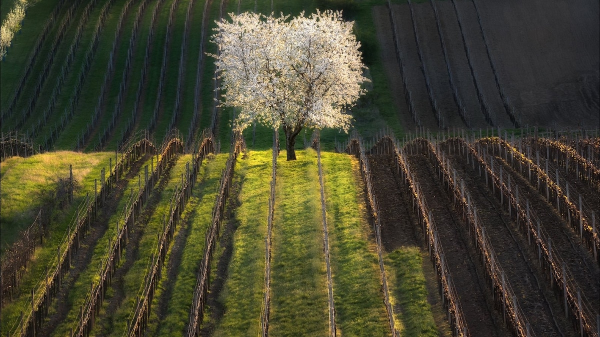 Your best photos of the week, December 21, 2018