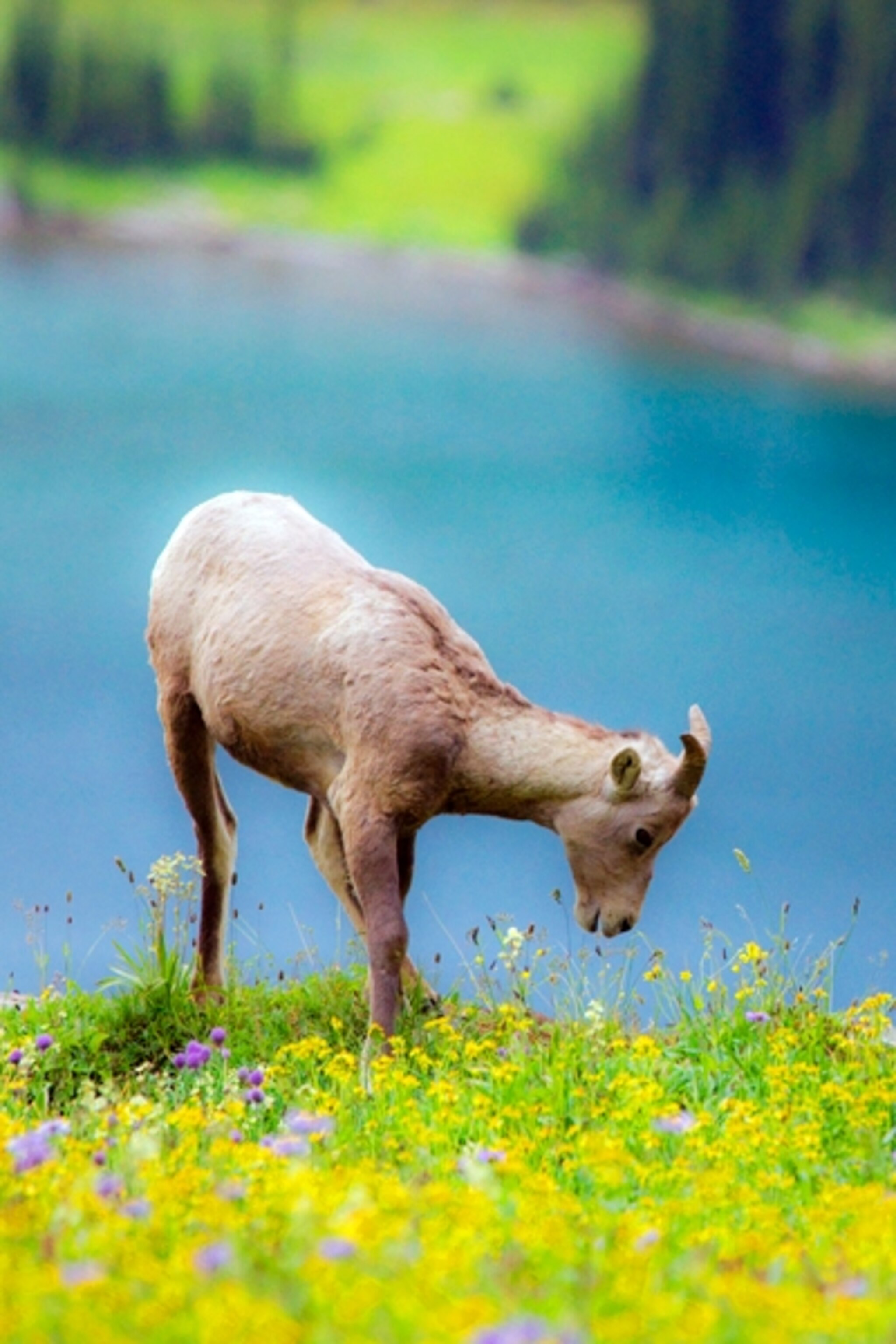 Spring Photos | National Geographic