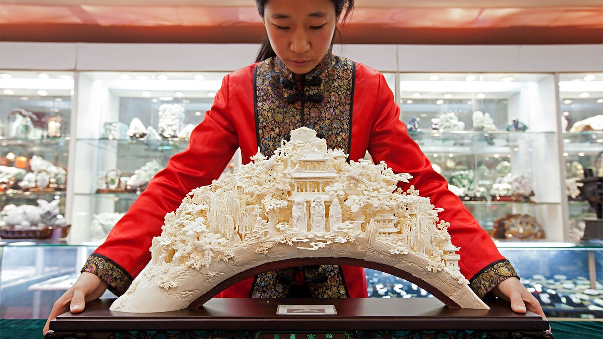 Five Ways Wildlife Won in 2017 | National Geographic