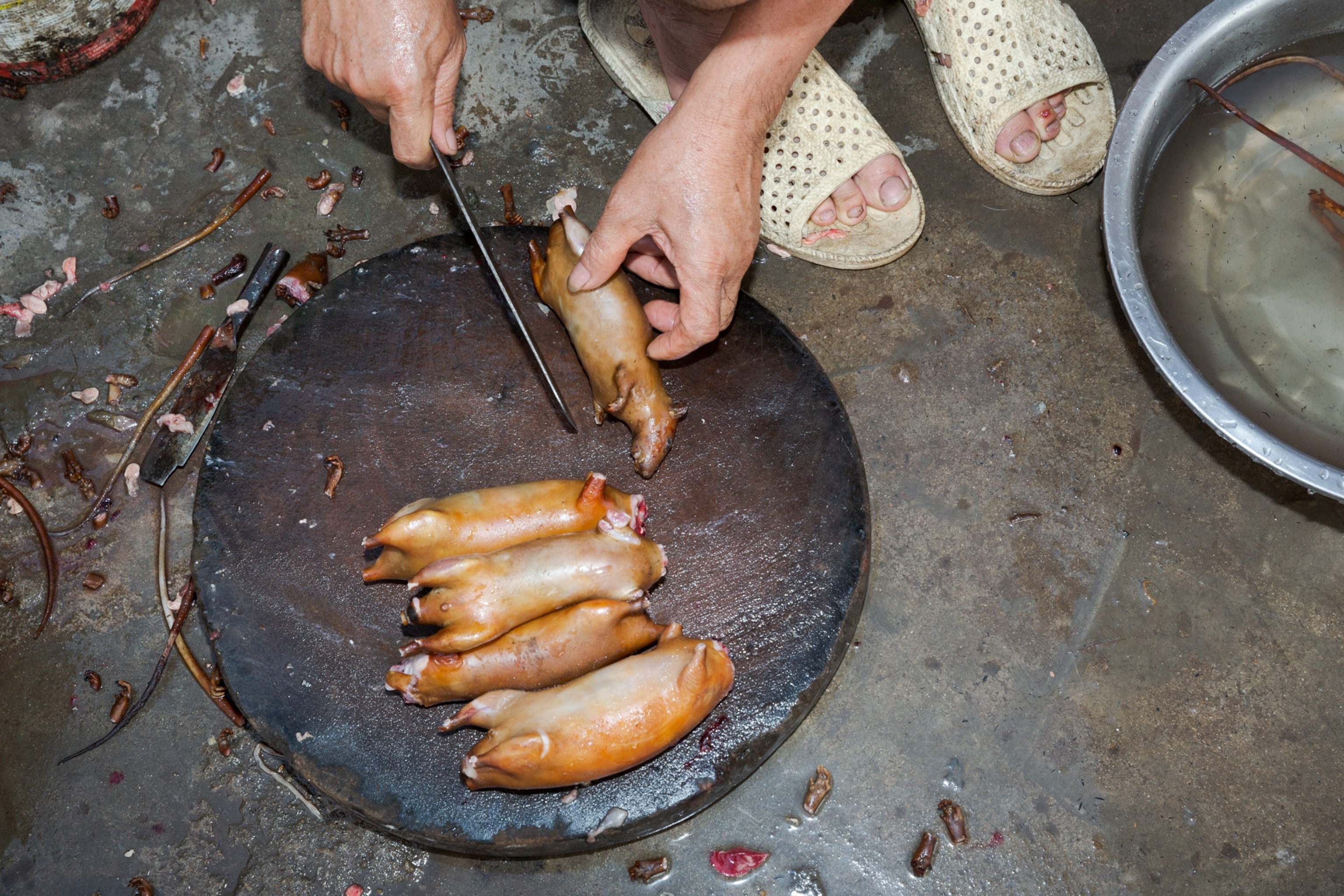 In Vietnam, rats are a popular food—here’s why.