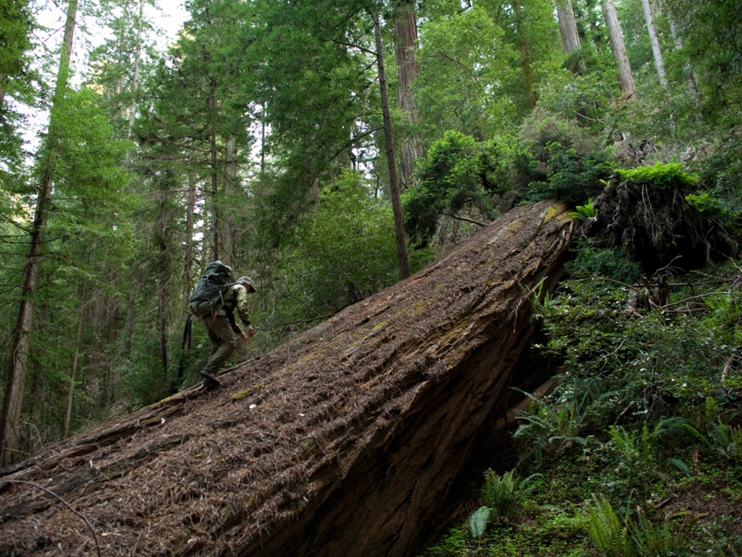 Top Expedition Photos -- National Geographic