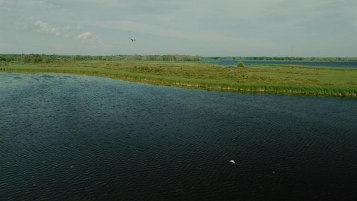 Protecting Canada’s wetland wonders | National Geographic