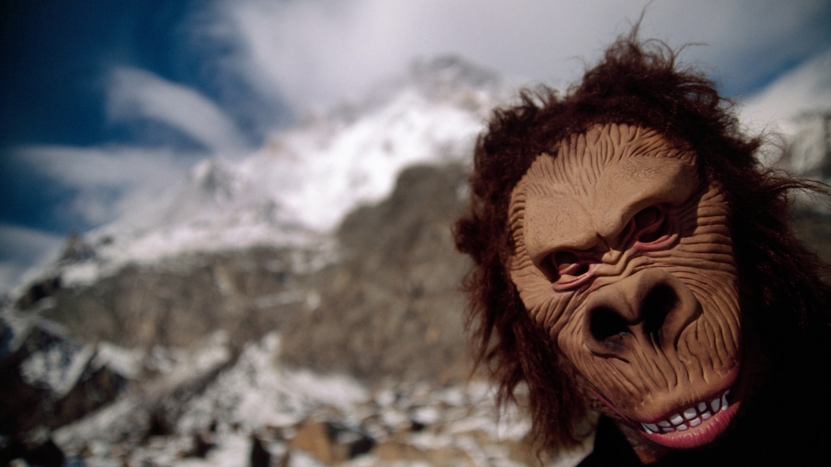 Is the Abominable Snowman a Bear? | National Geographic