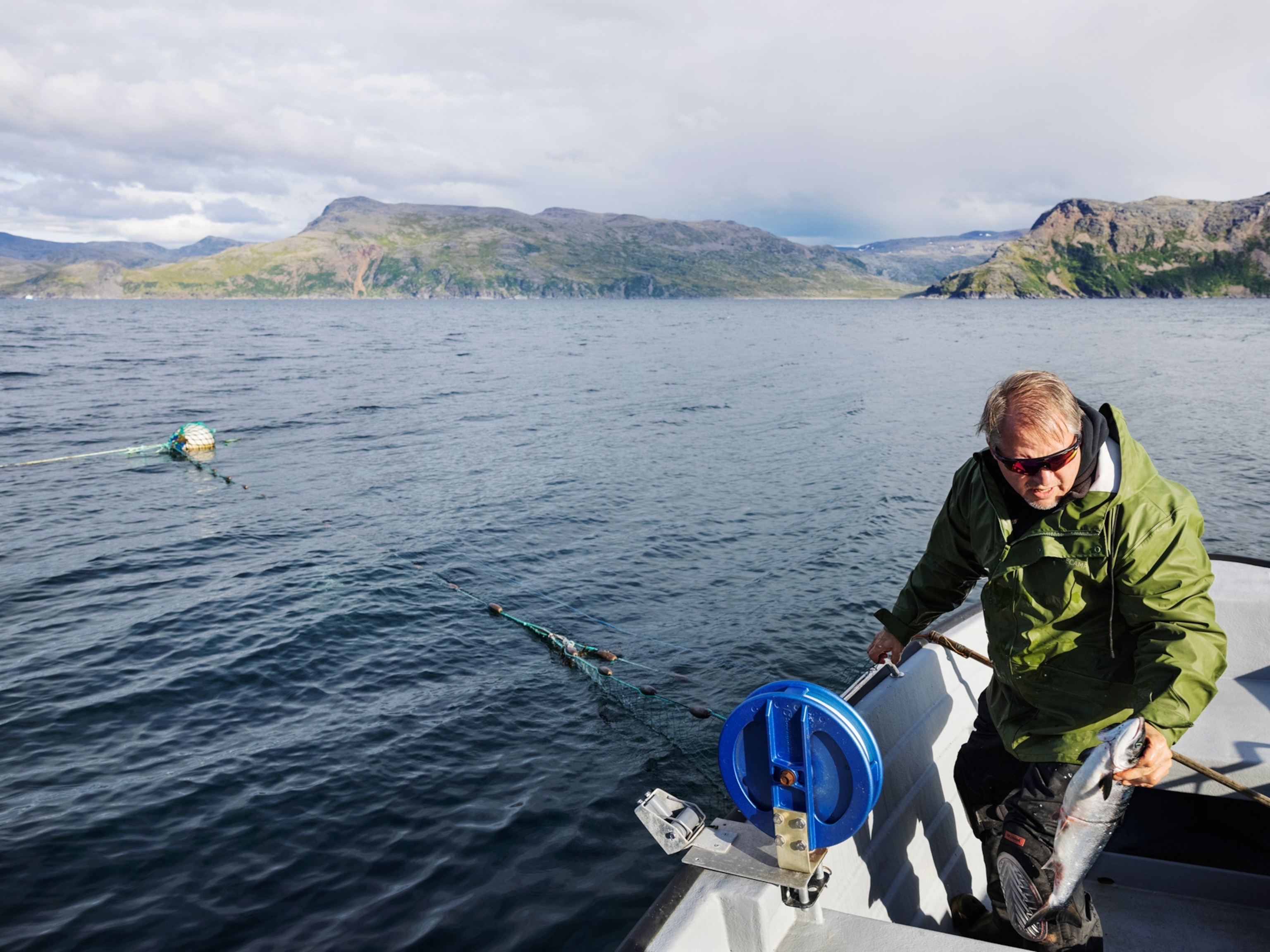How seahorses are a fish but also so un-fish-like