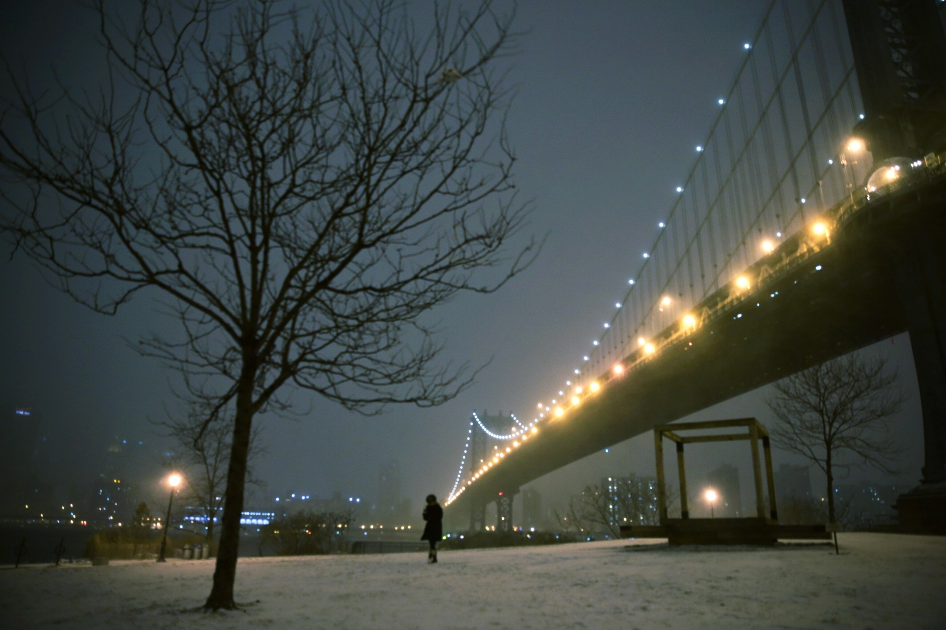 Editor's Picks: Our Favorite Pictures of the U.S. Snowstorm | National ...
