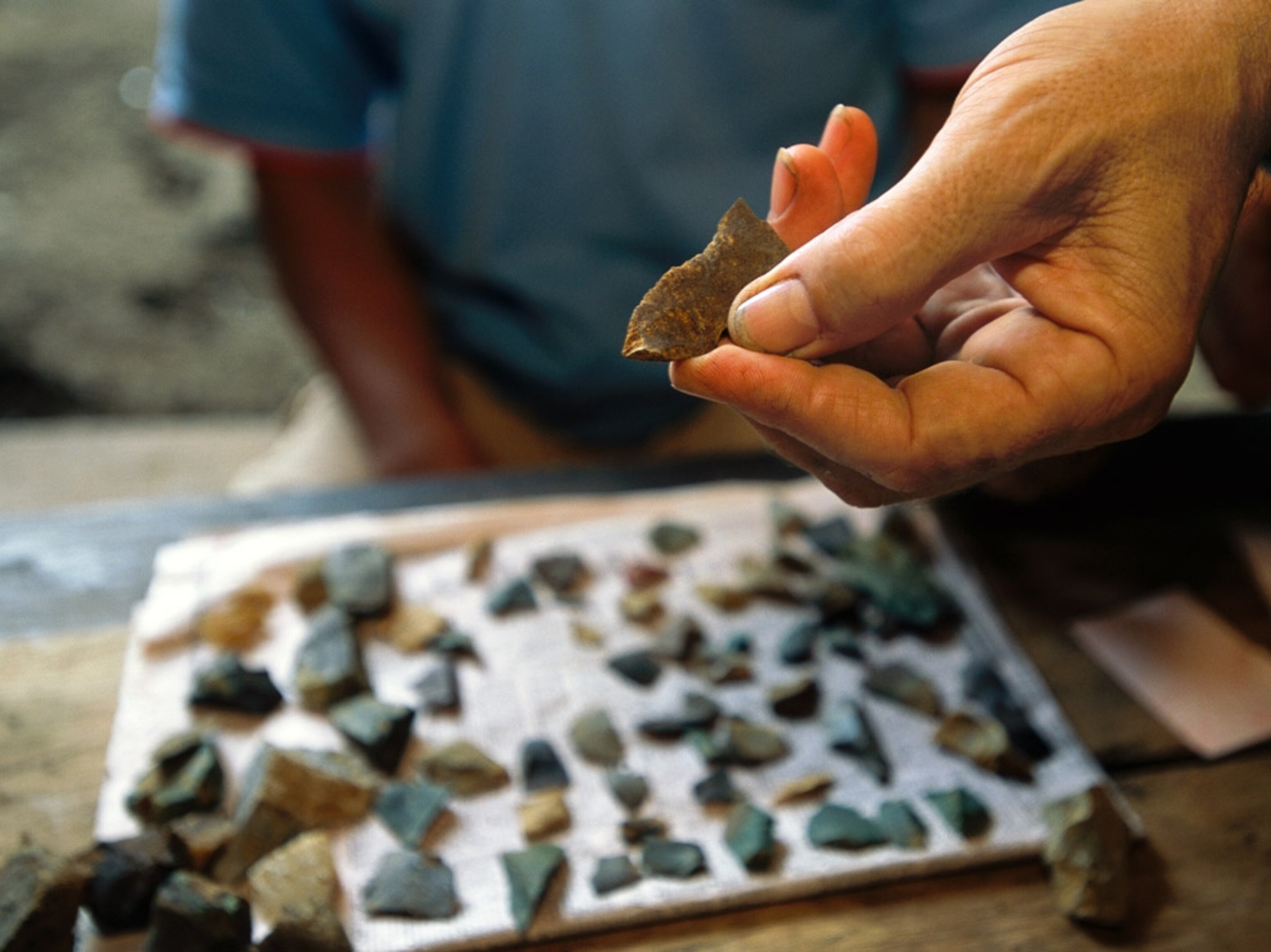 "Hobbits" Had Million-Year History on Island? | National Geographic