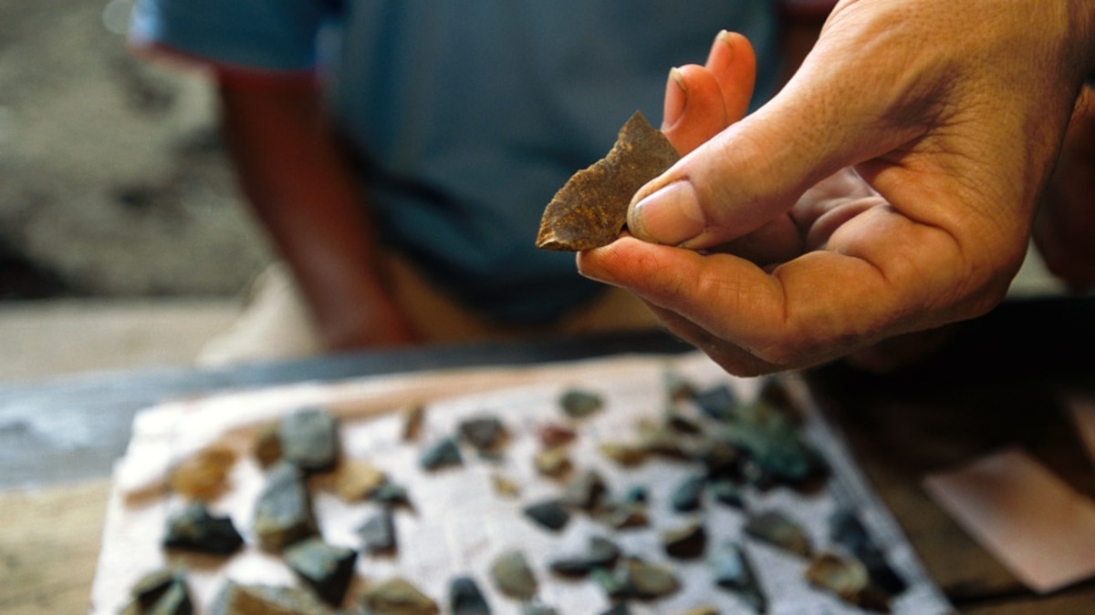 "Hobbits" Had Million-Year History on Island? | National Geographic