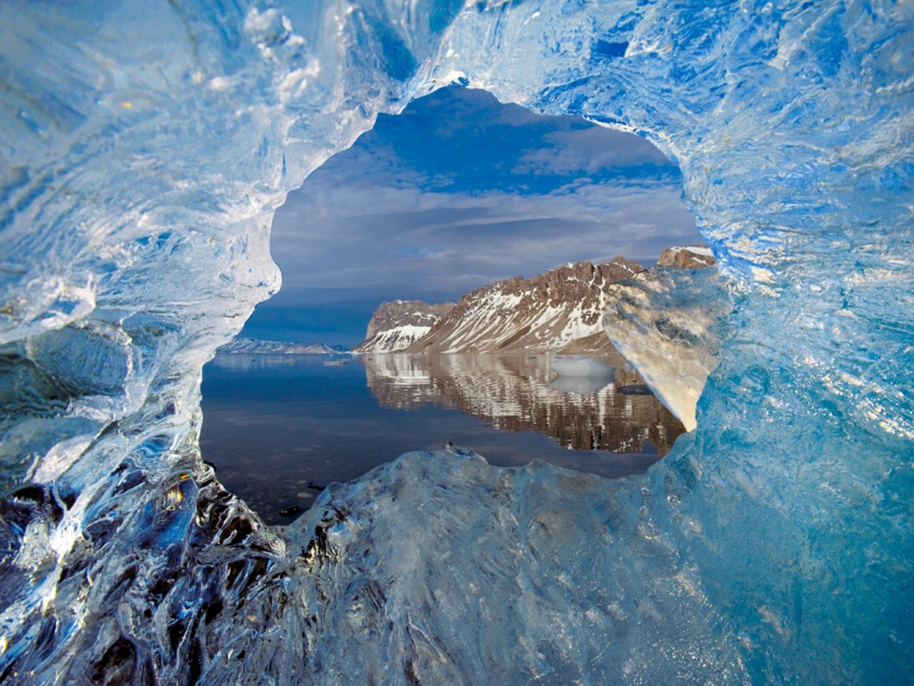 Polar Obsession Photos, Arctic Pictures, Animals and Landscapes ...