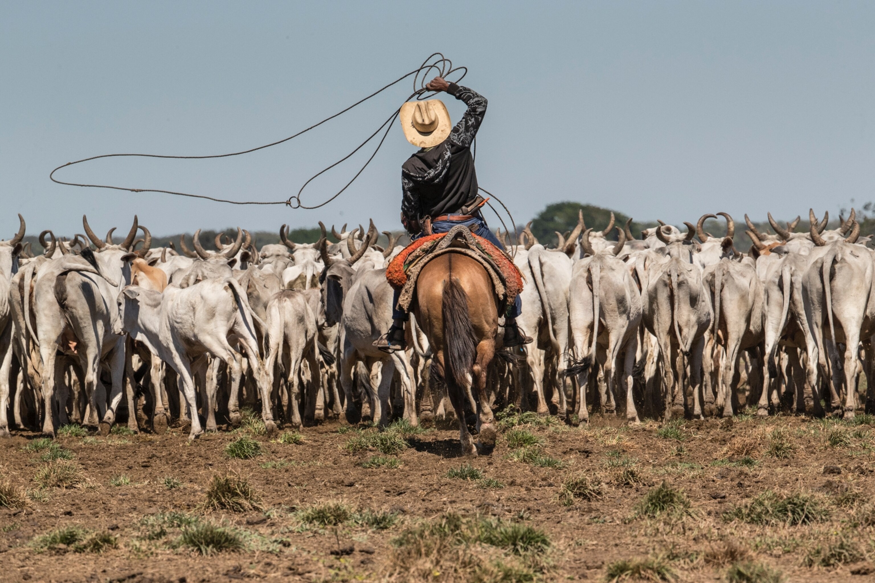 Life through the lens: Steve Winter