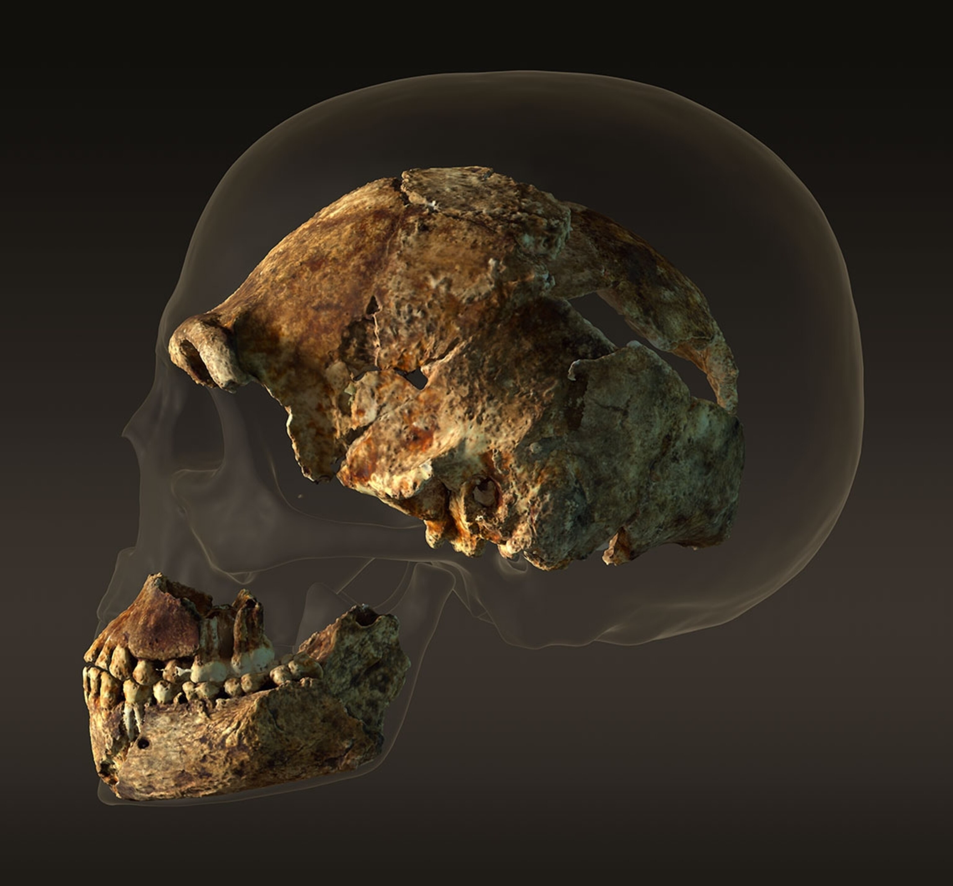 This Face Changes the Human Story. But How? | National Geographic