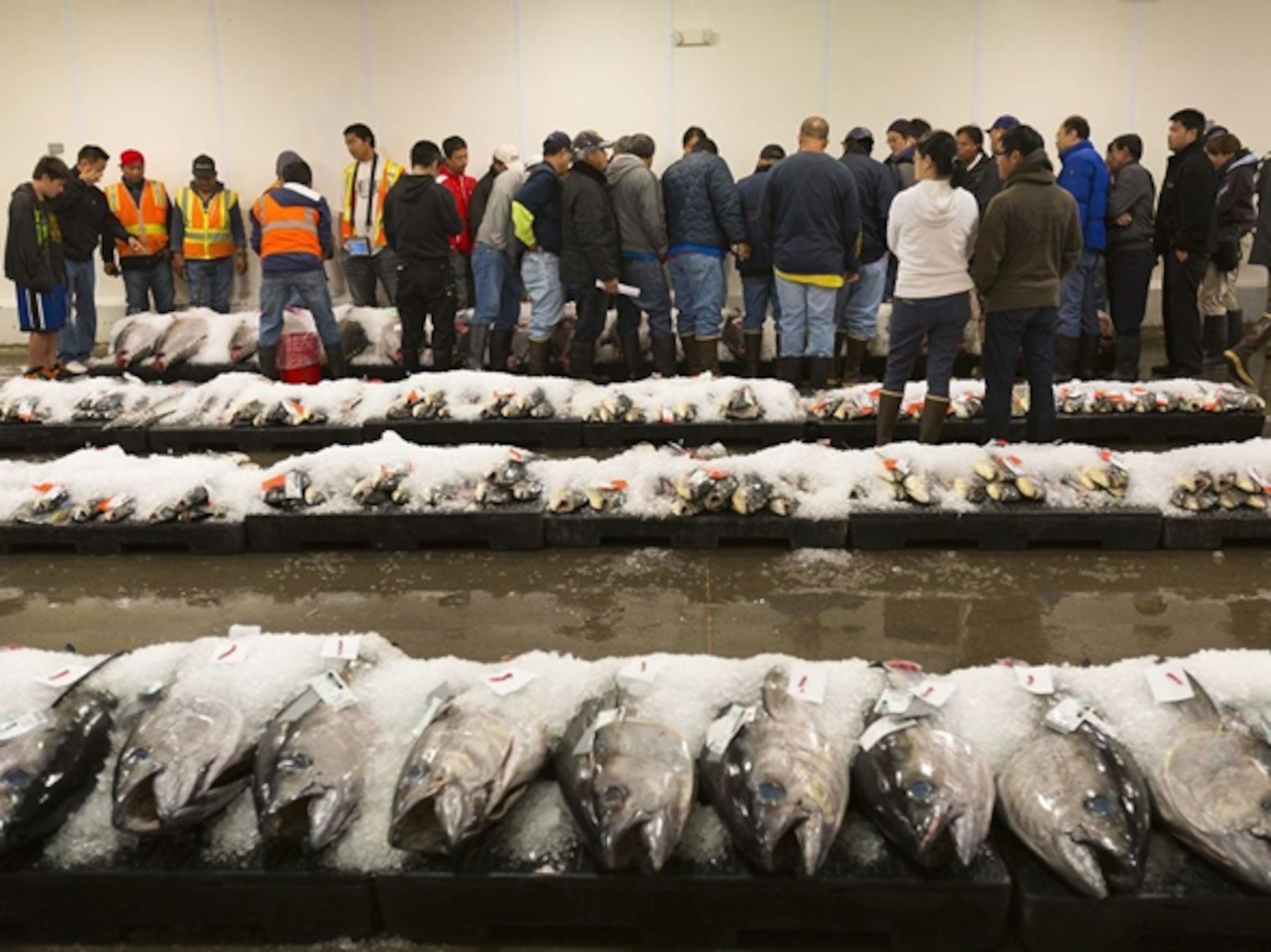 Great Read: Aloha, Honolulu | National Geographic