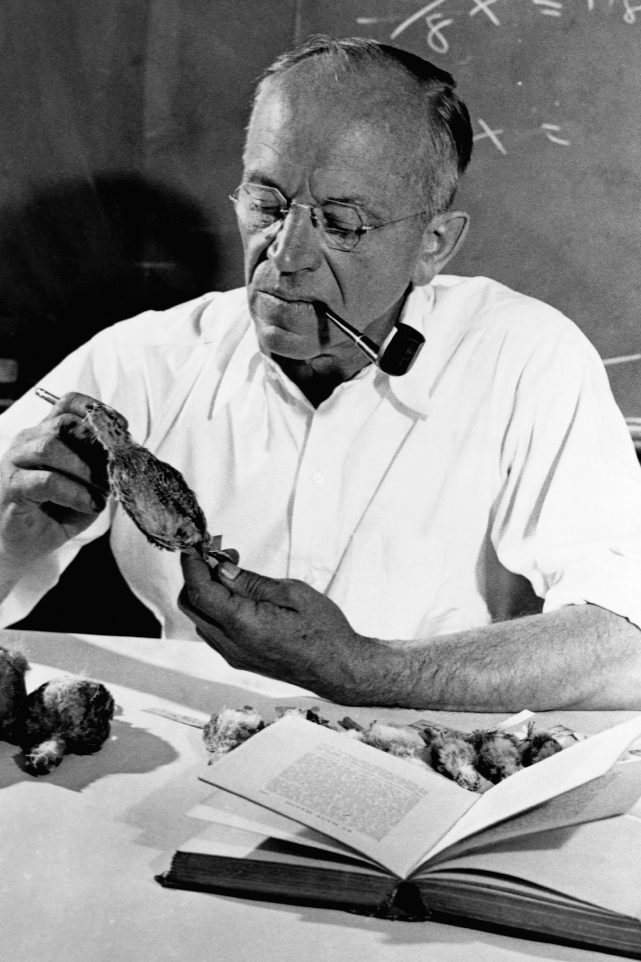 These 7 Famous Conservationists Also Hunted