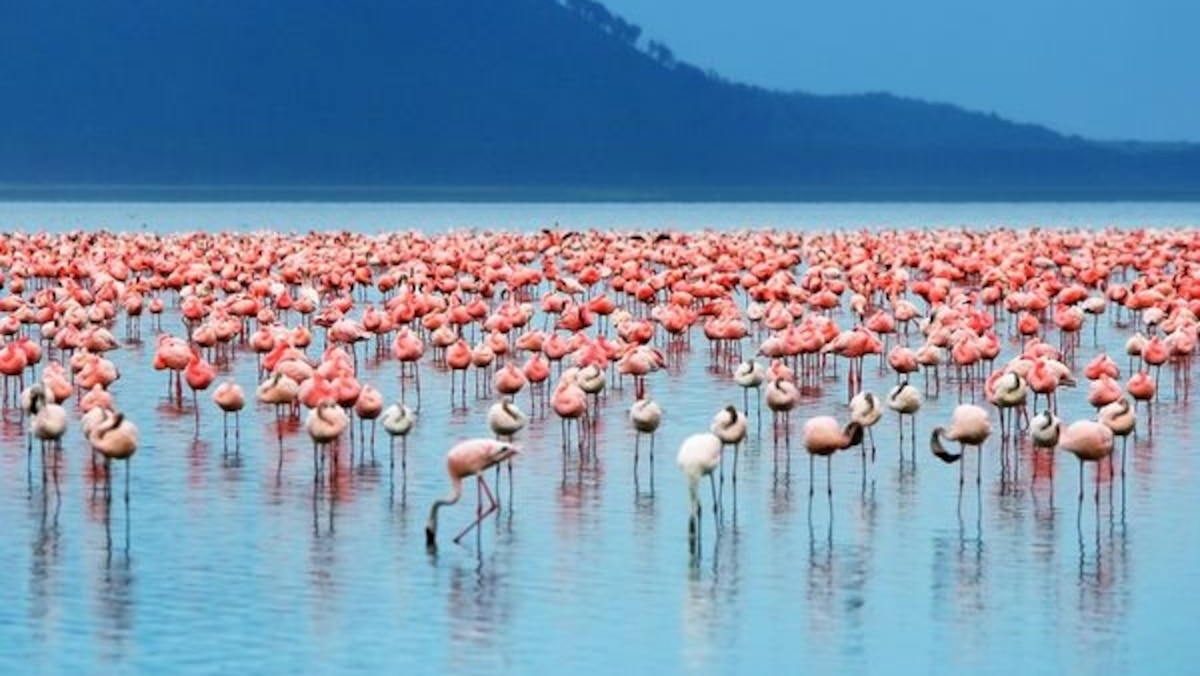 Colorful Scenes -- National Geographic | National Geographic