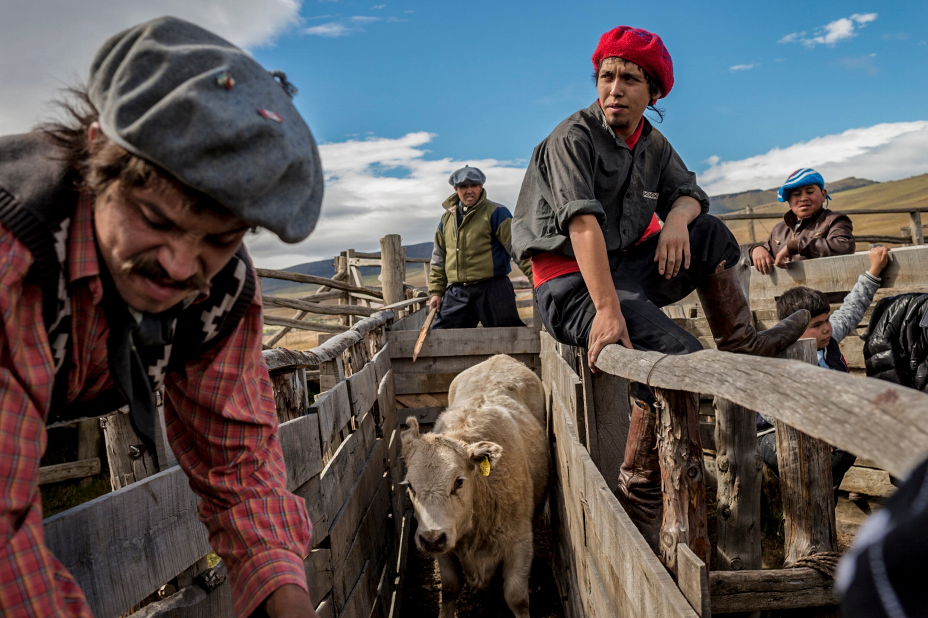 For Patagonian Ranchers, a Family Gathering Means Barbecue and Rodeo